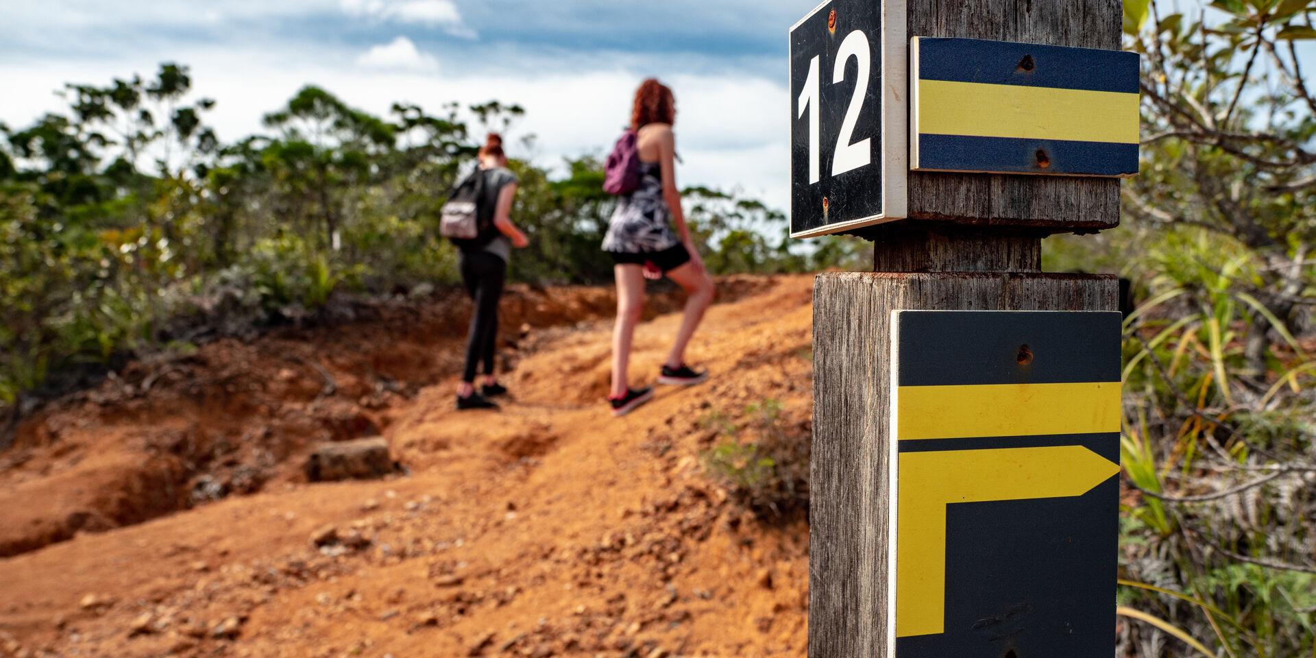 Visit Casy islet in the Great South | New Caledonia Tourism: The ...