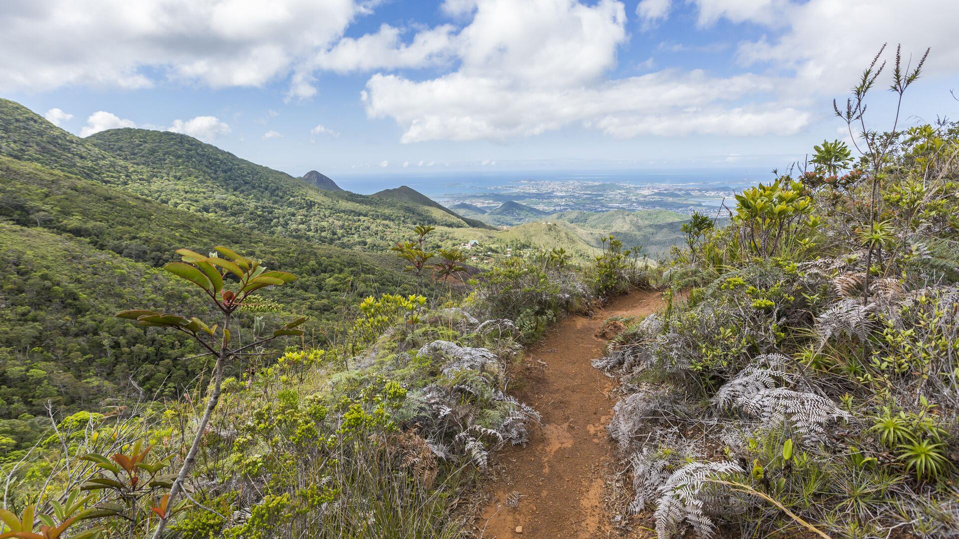 Preserved nature in New Caledonia | New Caledonia Tourism: The official ...