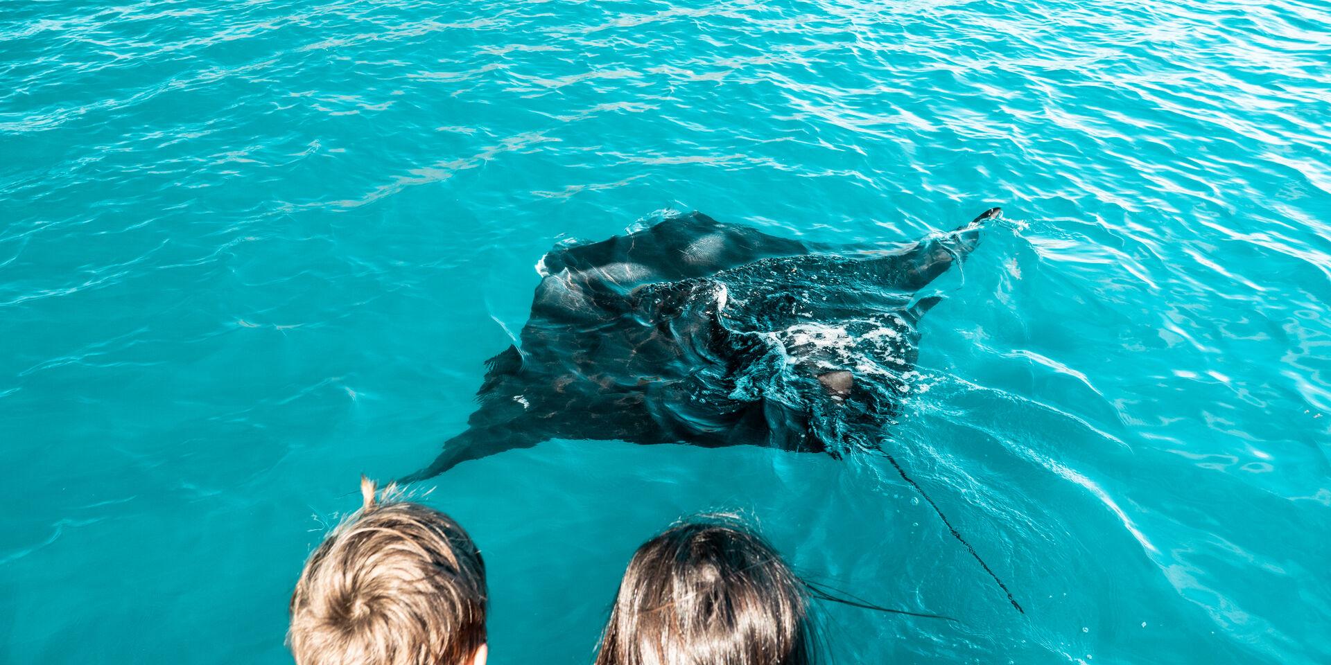 Upi bay on the Isle of Pines | New Caledonia Tourism: The official ...