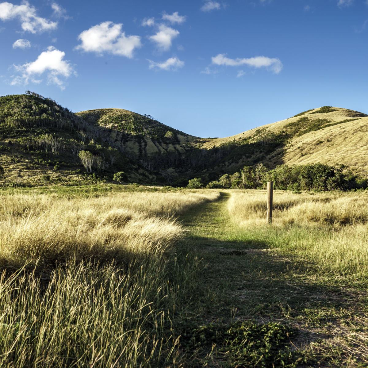 Explore the Deva Domain | Outdoor Adventures in New Caledonia