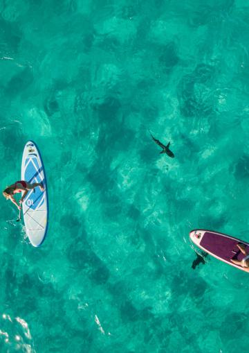 All you need to know about Currency and Money in New Caledonia