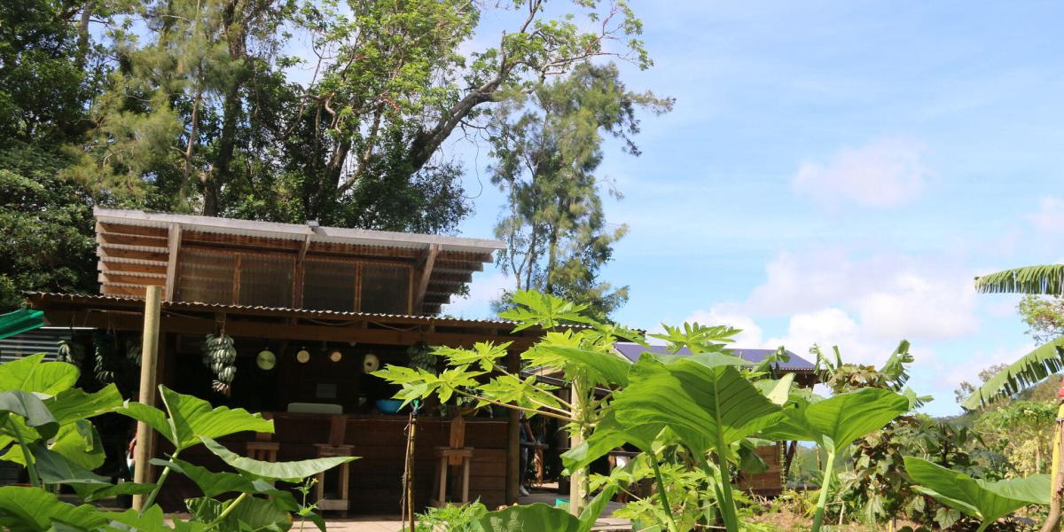 Immerse Yourself in the ‘Broussard’ (French cowboys) Culture in New ...