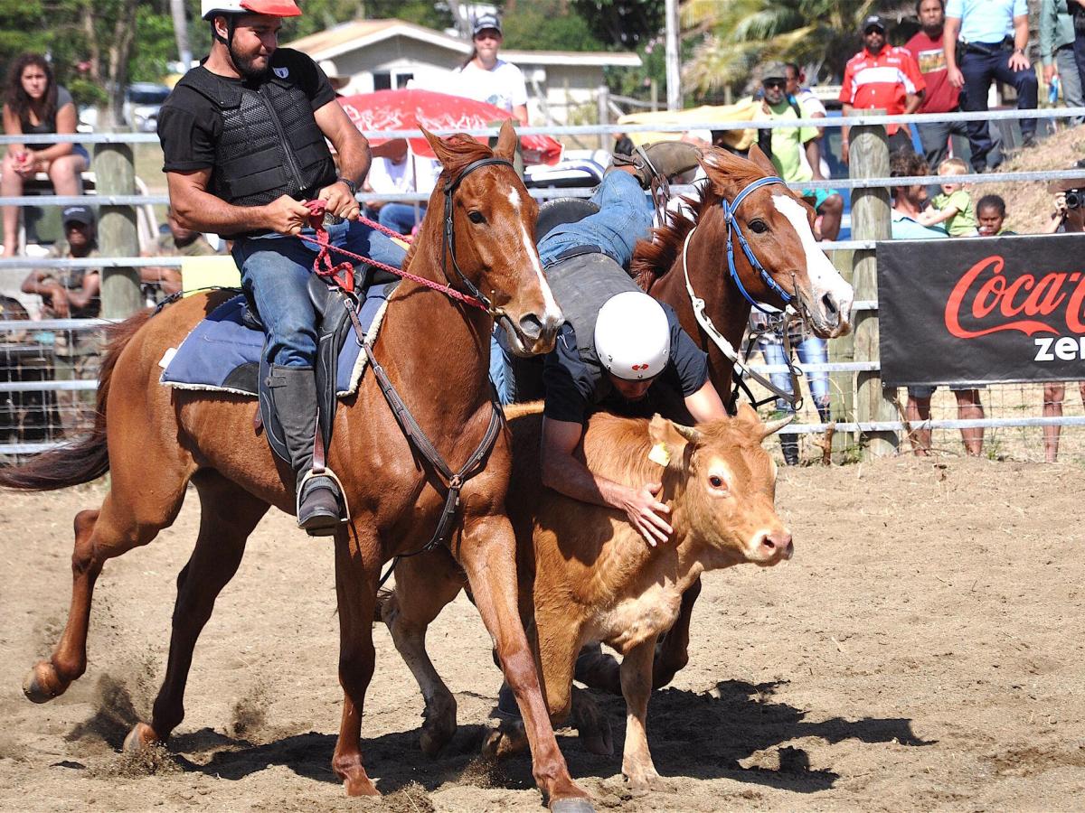 Immerse Yourself in the ‘Broussard’ (French cowboys) Culture in New ...