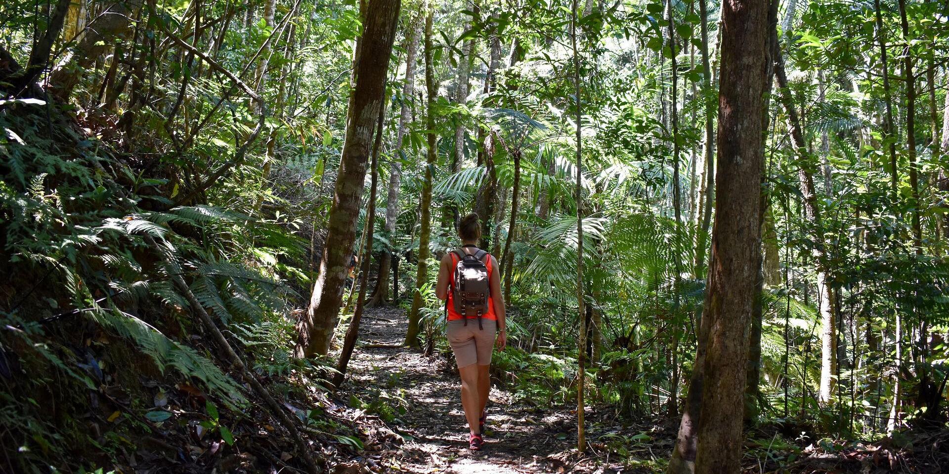UNESCO Sites of New Caledonia | New Caledonia Tourism: The official ...