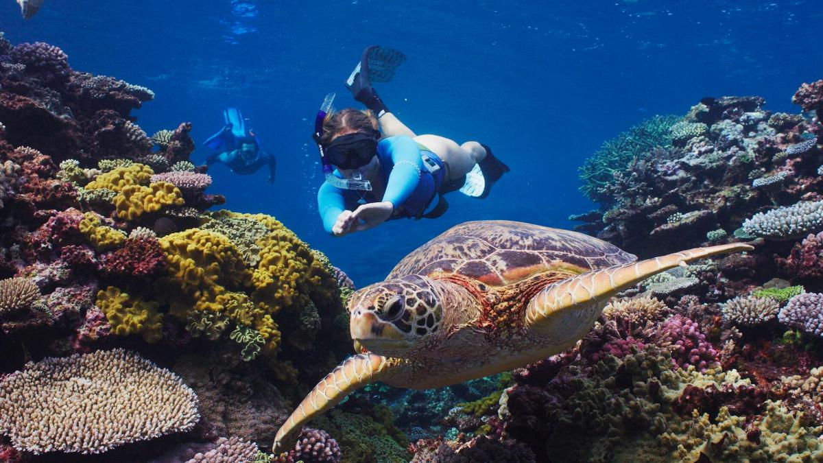 Aquarium des Lagons (Nouméa) | New Caledonia Tourism: The official website for tourism in New ...