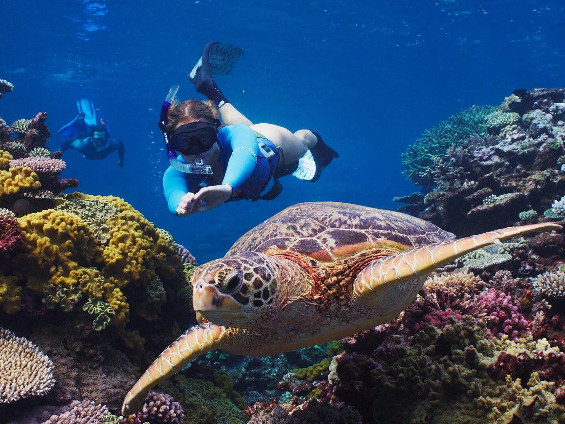 Explore the Nature of New Caledonia’s Lagoon | New Caledonia Tourism ...