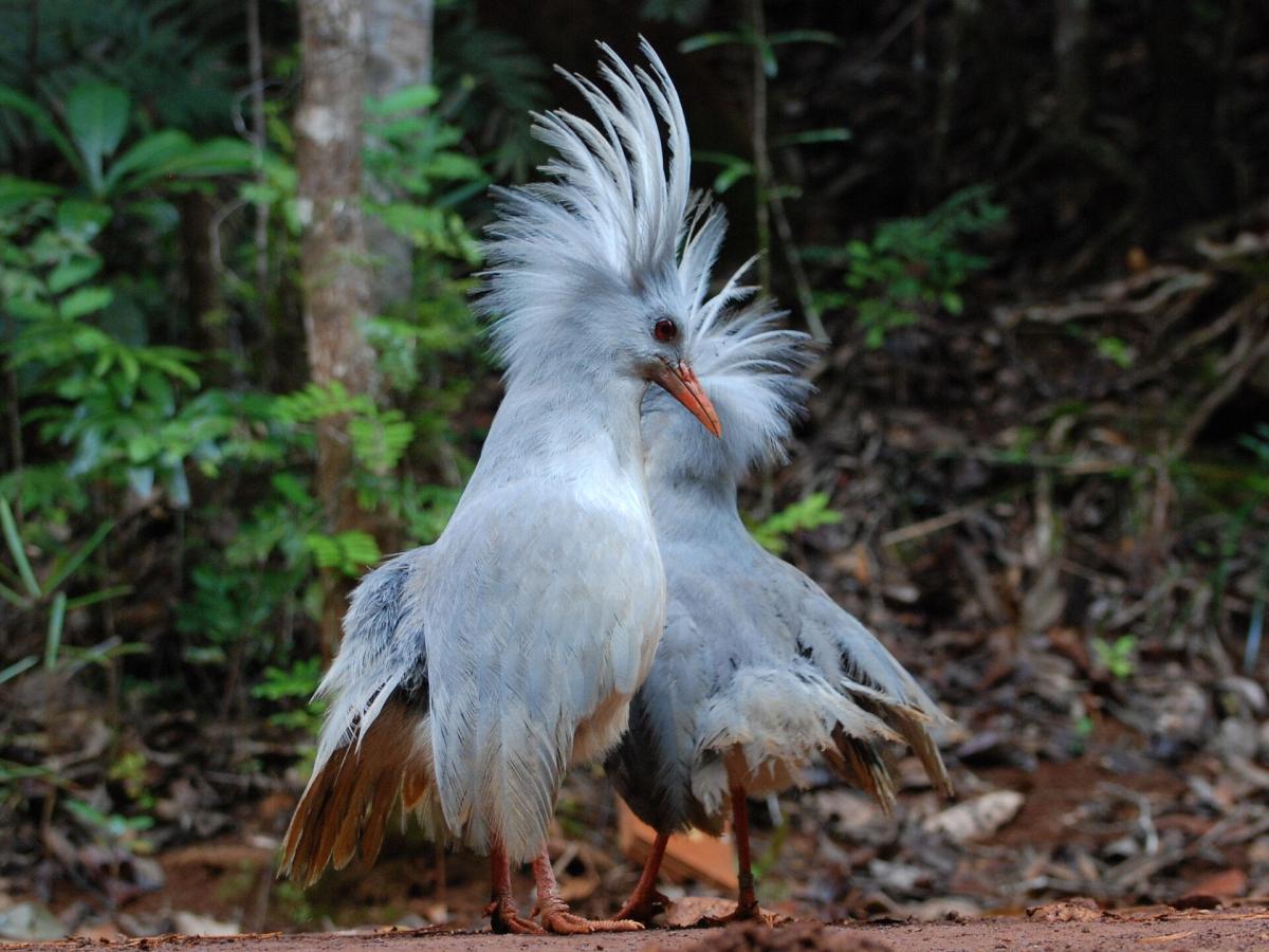 Discover the Geography of New Caledonia | New Caledonia Tourism: The ...