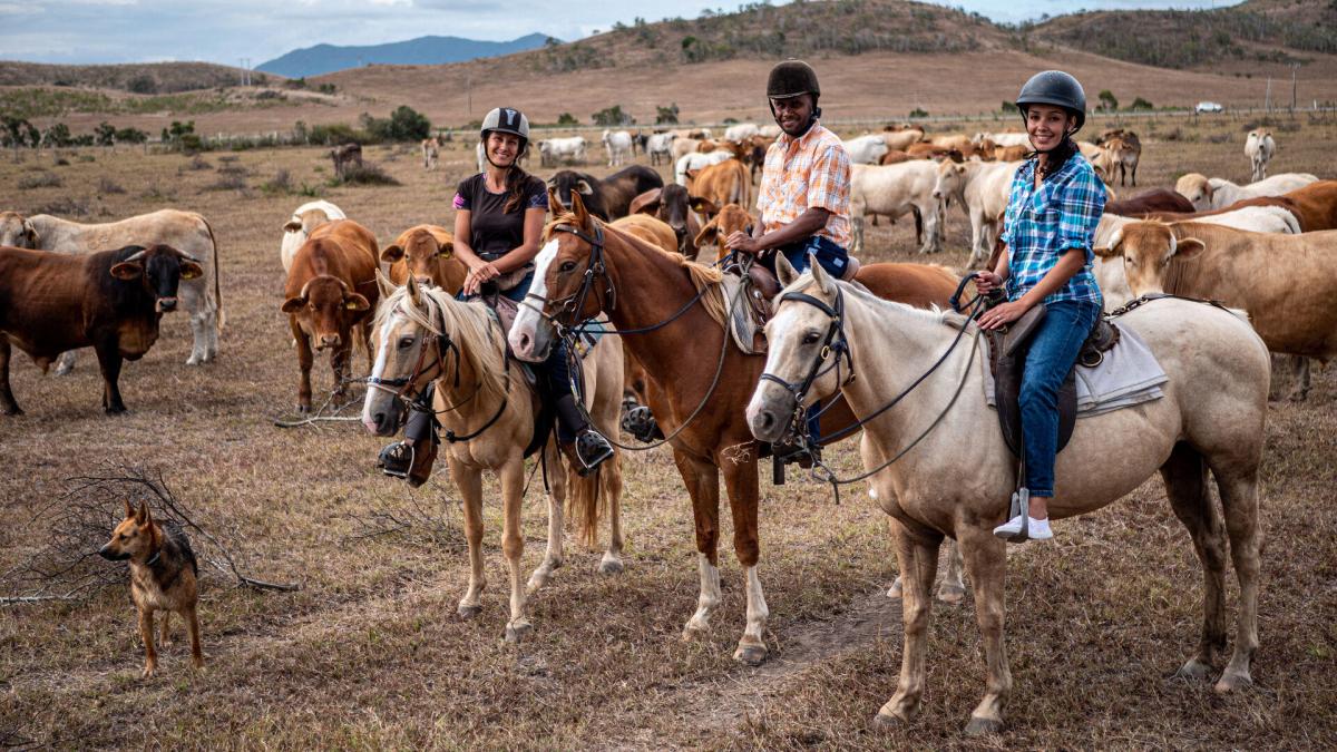 Randonnée à cheval en Nouvelle-Calédonie