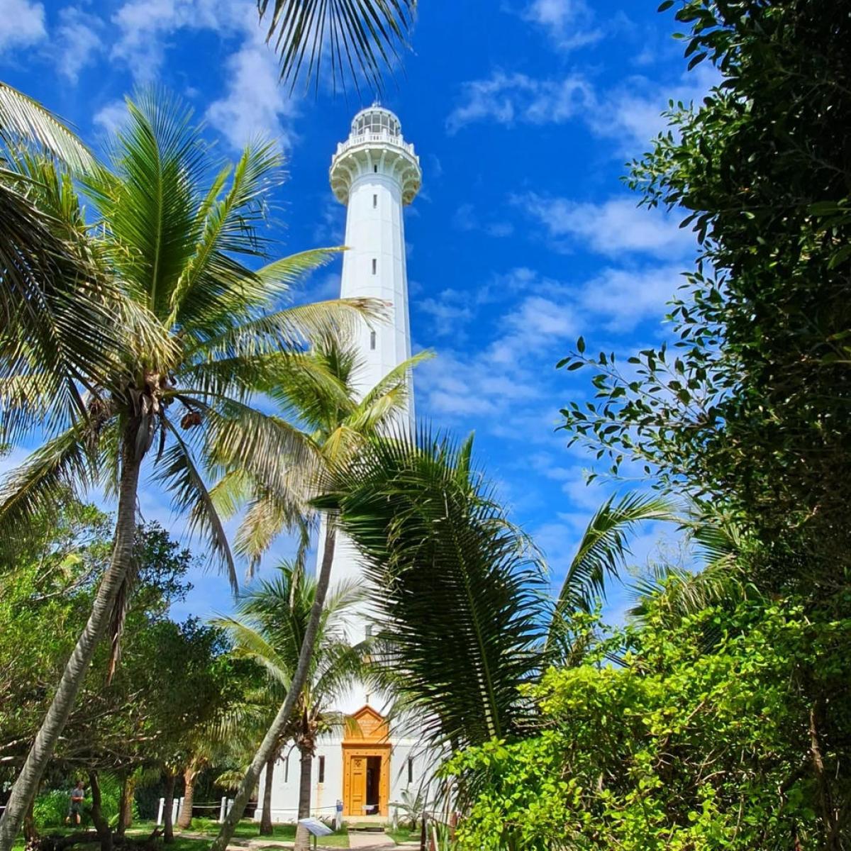 Le Phare Amédée : toutes les activités ! | Nouvelle-Calédonie Tourisme ...