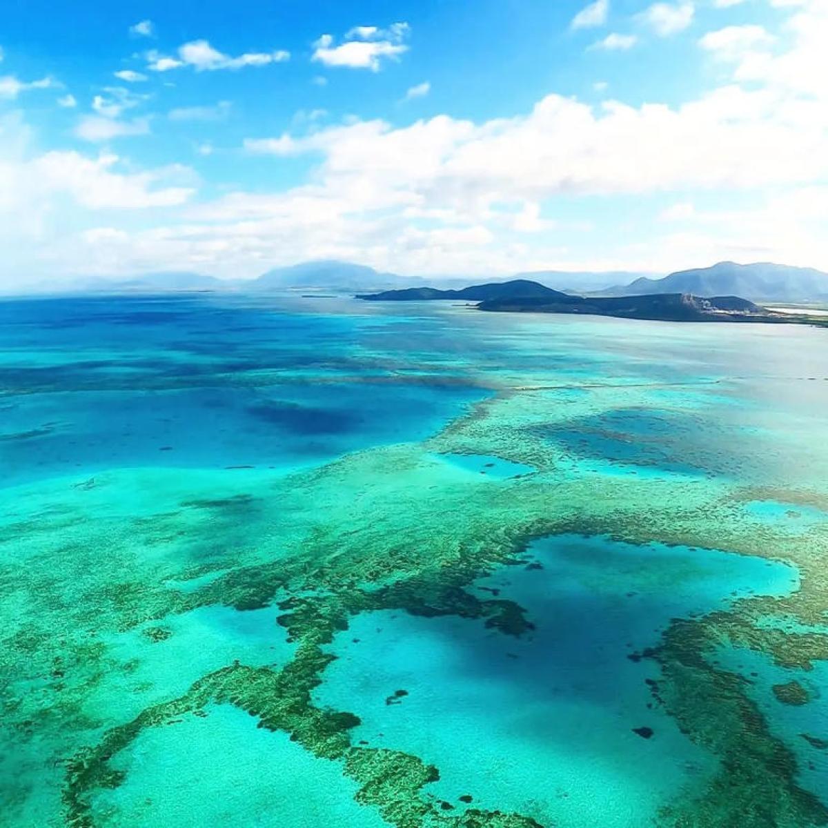 Explore the Heart of Voh: A Natural Wonder in New Caledonia