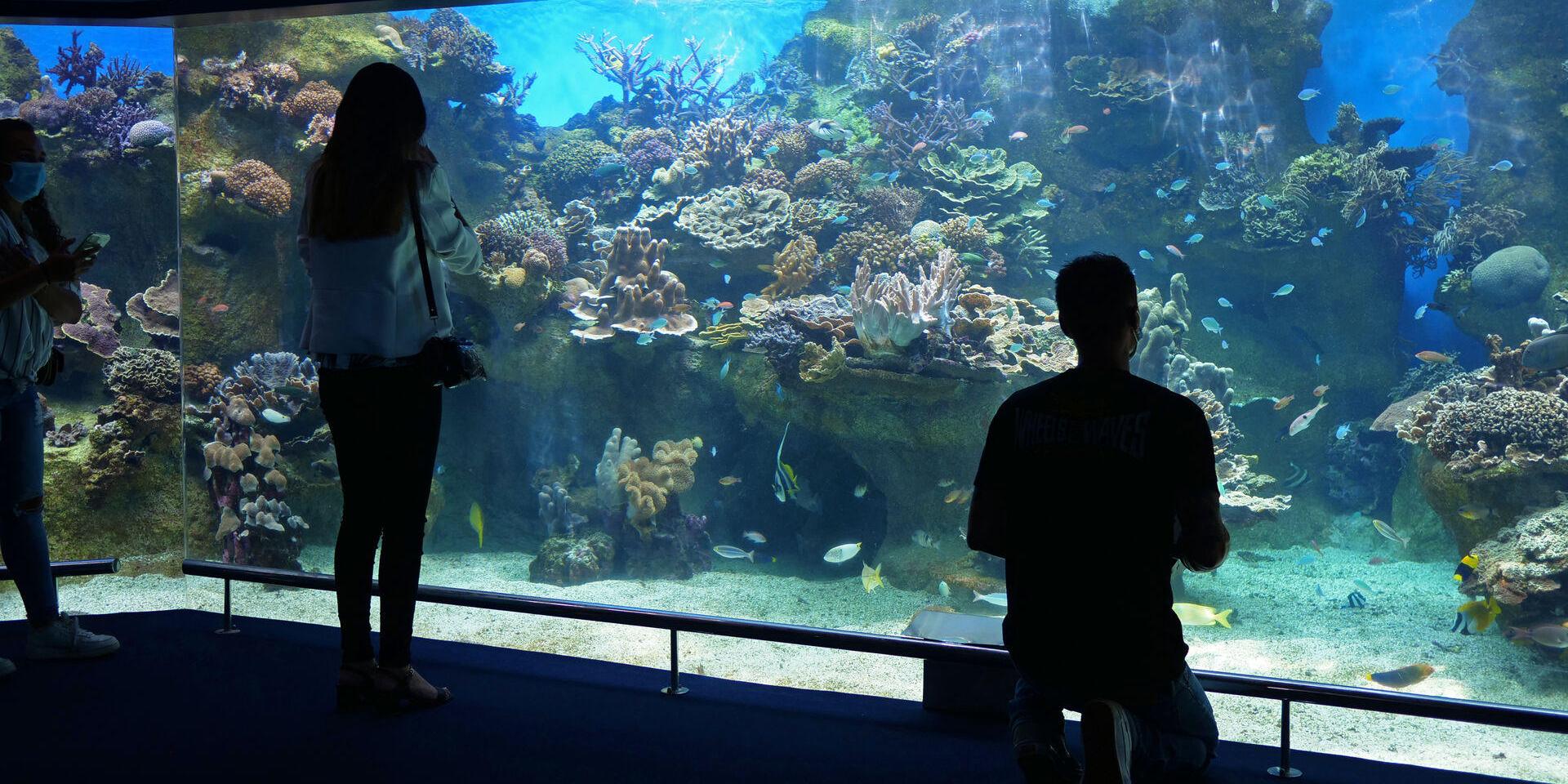 Nouméa with your family | New Caledonia Tourism: The official website for tourism in New Caledonia