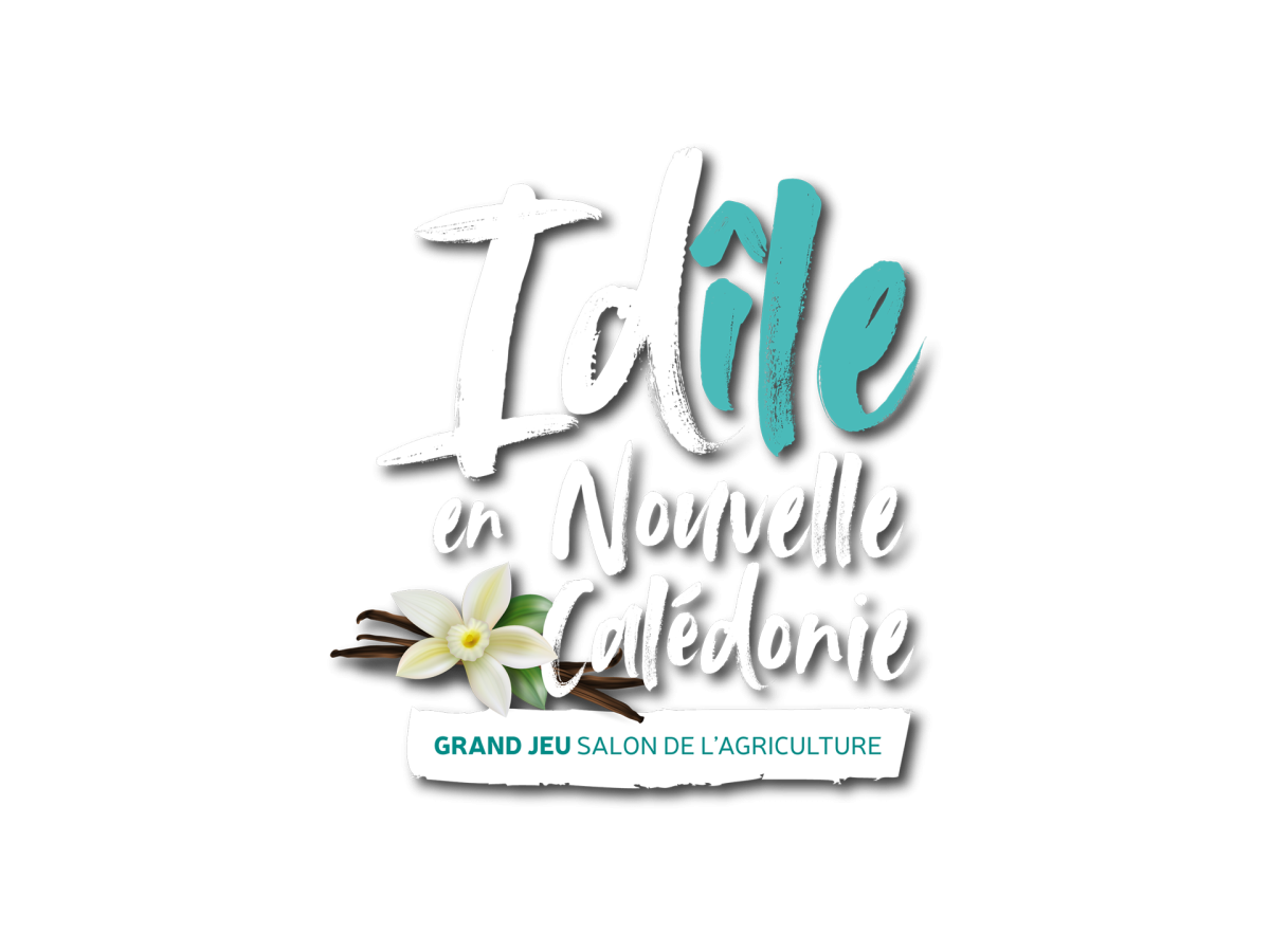 Jeu concours Idîle | Nouvelle-Calédonie Tourisme : Le site officiel du ...