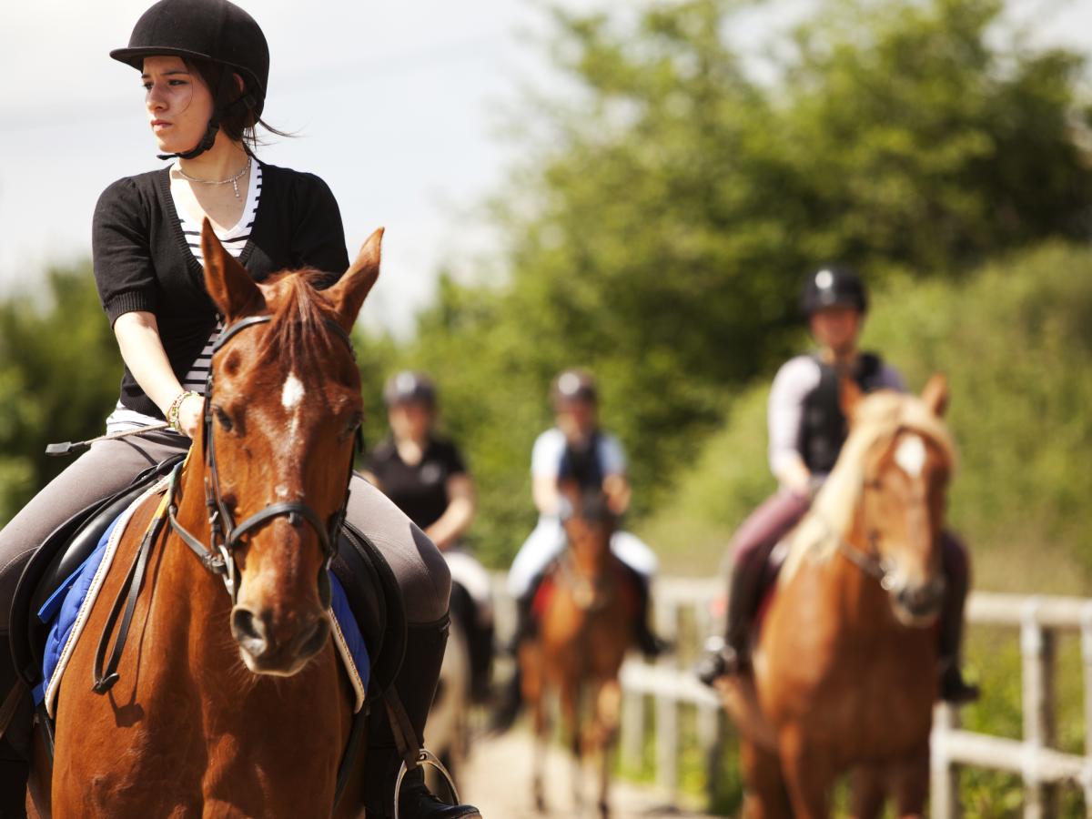 Equi Management – Tourisme d’Affaires | Destination Domfront Bagnoles