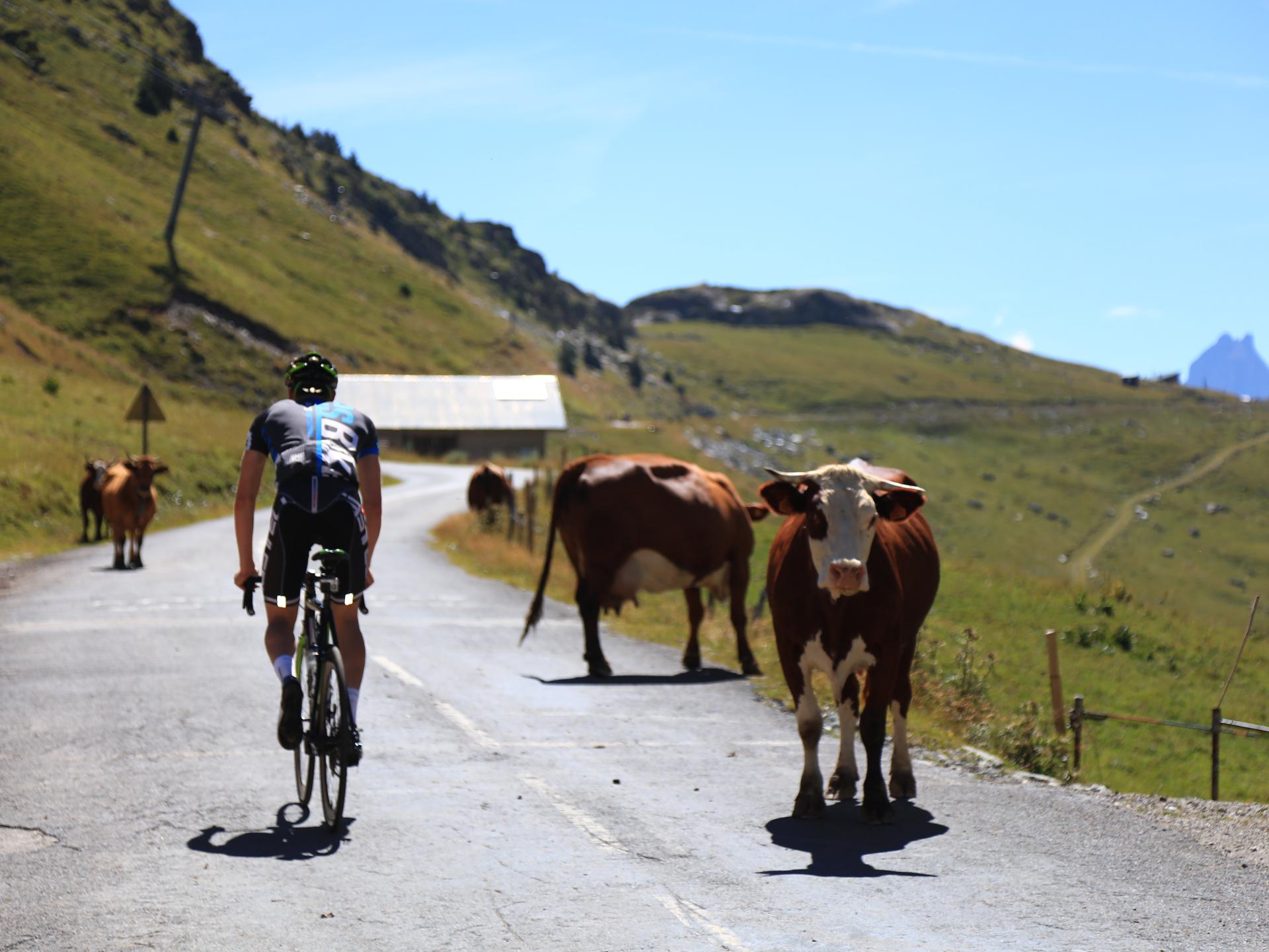 Le Plateau des Lacs des Petites Rousses | Office de Tourisme d'oz-en-oisans