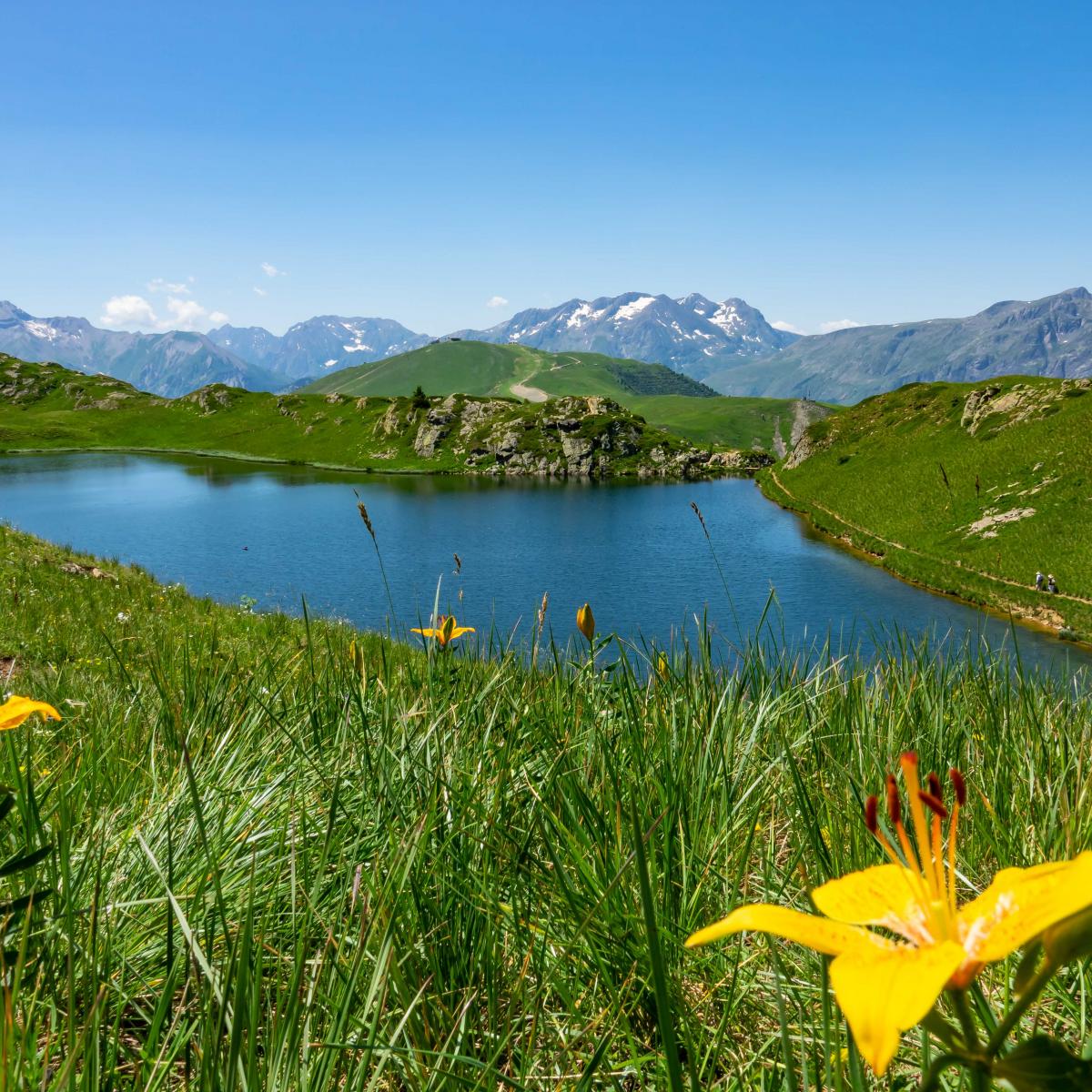 Le Plateau des Lacs des Petites Rousses | Office de Tourisme d'oz-en-oisans