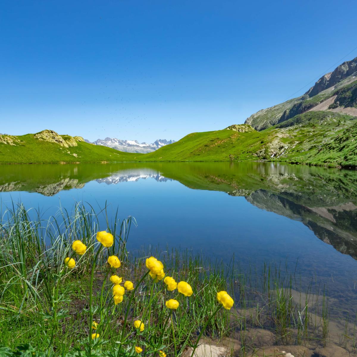 Le Plateau des Lacs des Petites Rousses | Office de Tourisme d'oz-en-oisans
