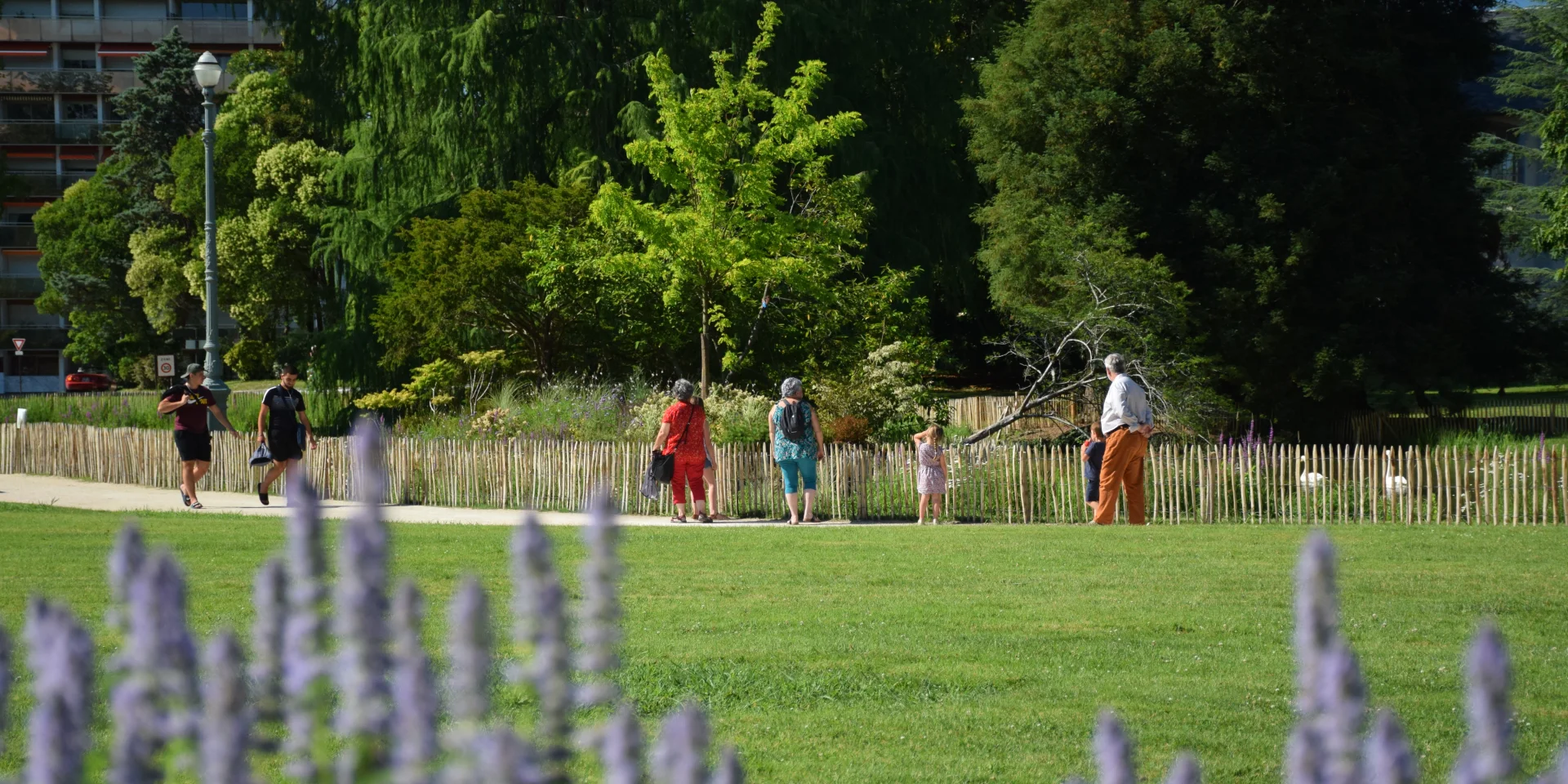 Without leaving Pau | Pau Pyrénées Tourisme