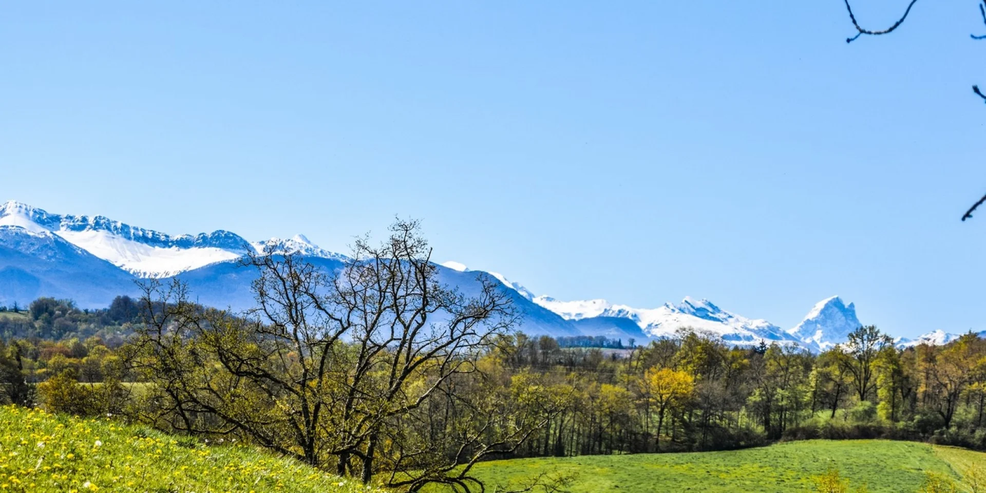 Press area | Pau Pyrénées Tourisme