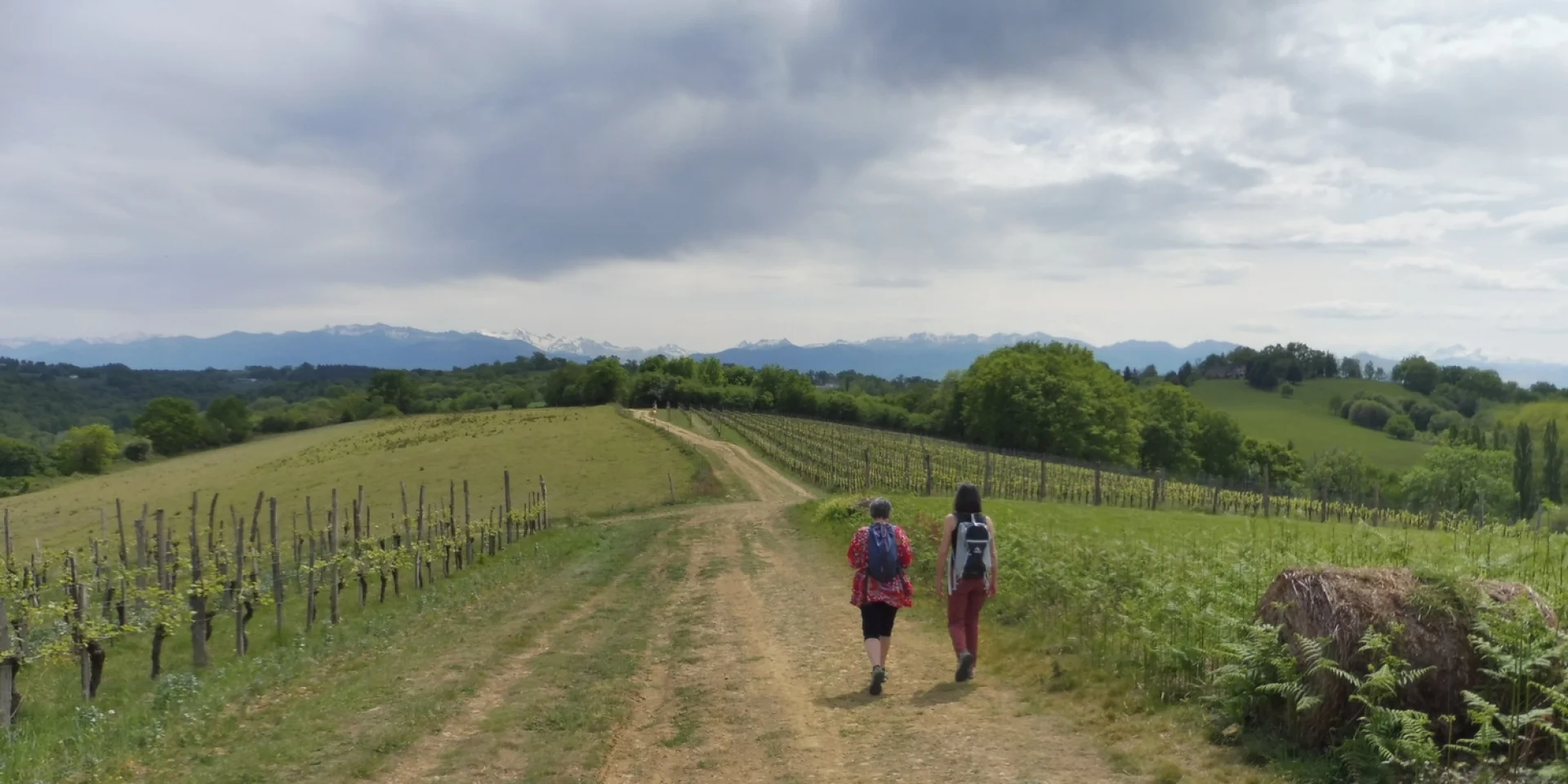 Les balades et randonnées à pied | Pau Pyrénées Tourisme