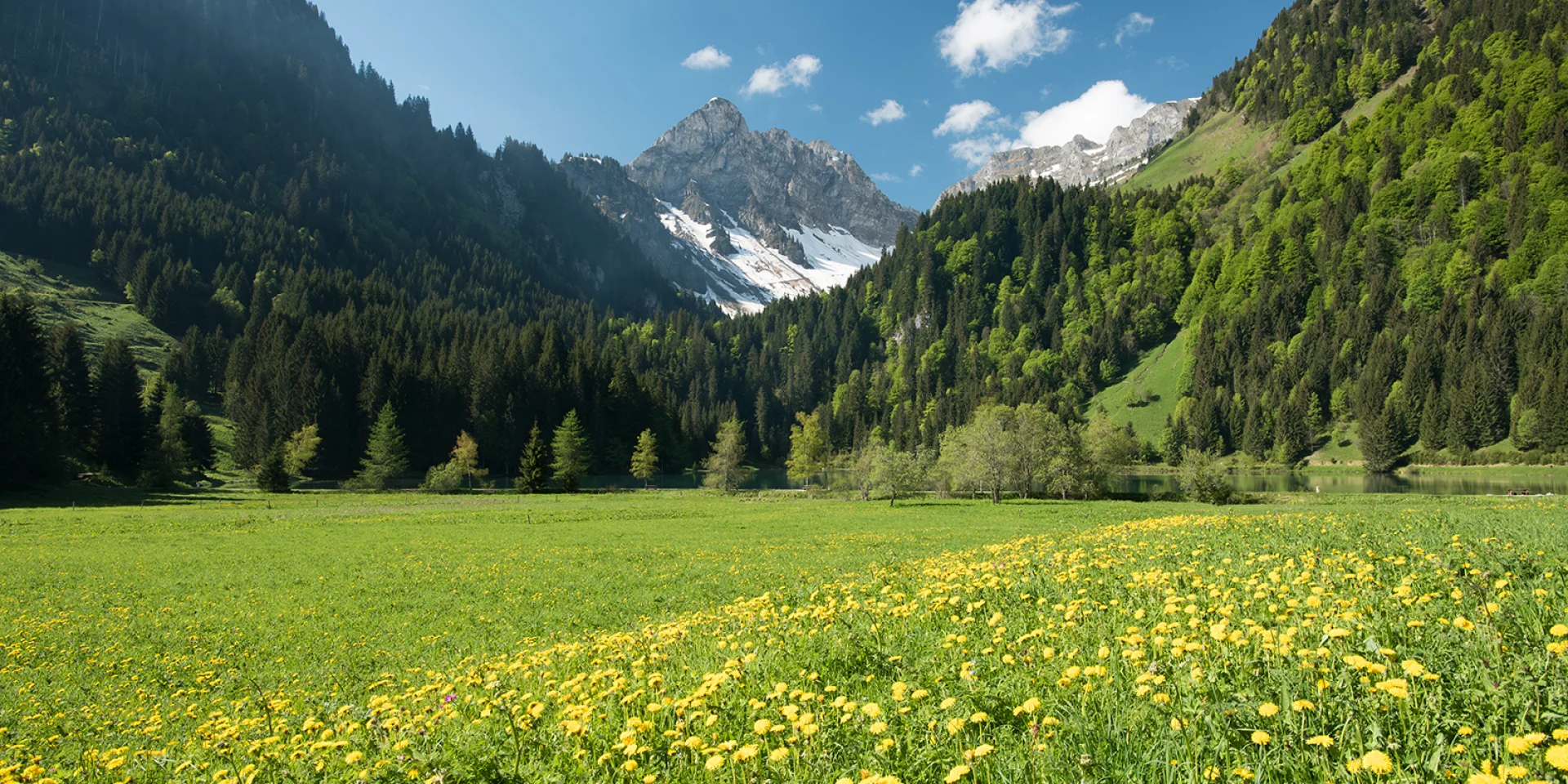 Espaces Valleens | Leman Mountains Explore