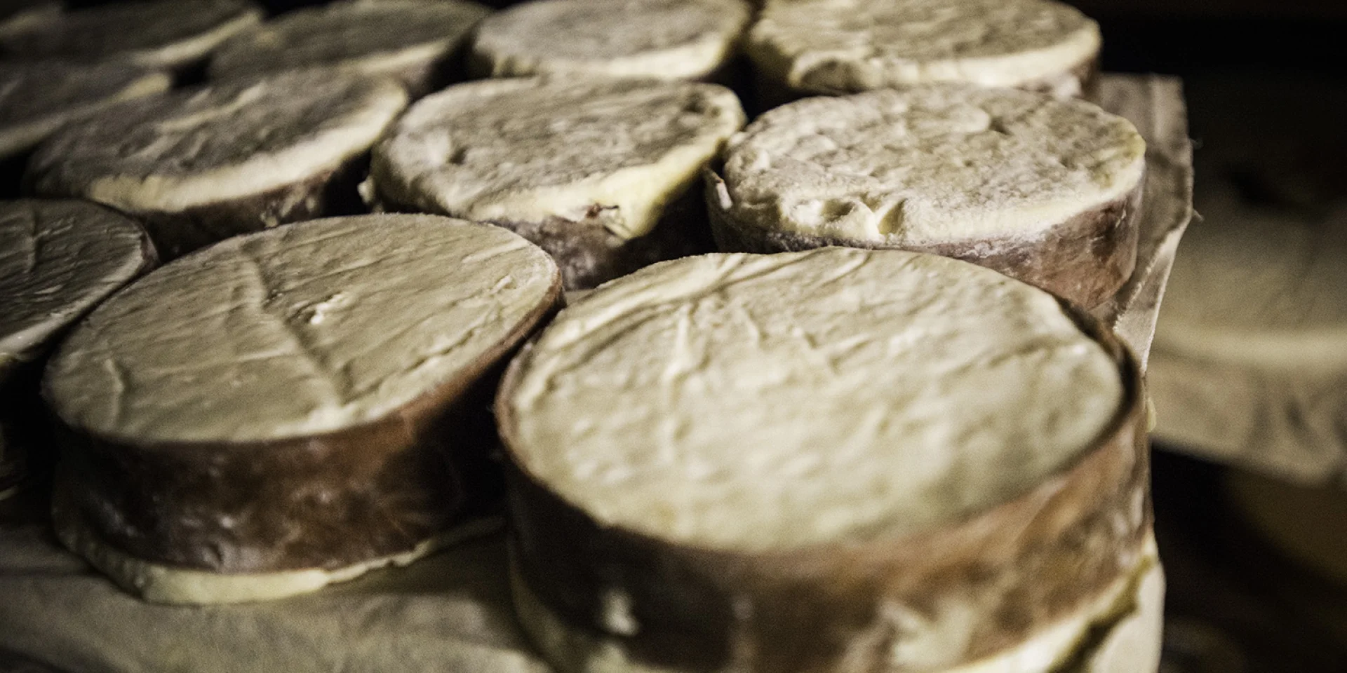 Le Vacherin | Leman Mountains Explore