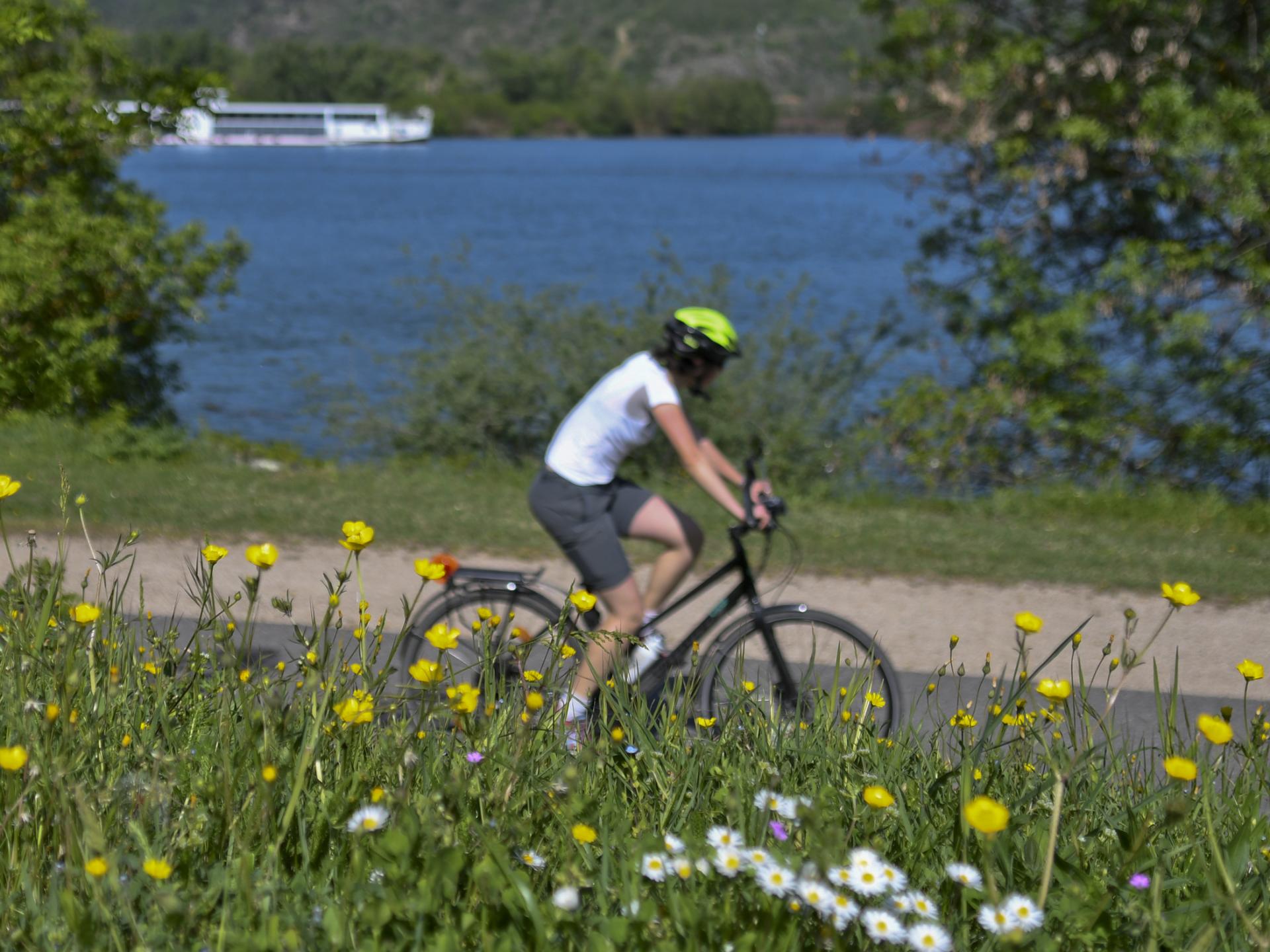 The ViaRhôna | Official website of the tourist office around the Ideal ...
