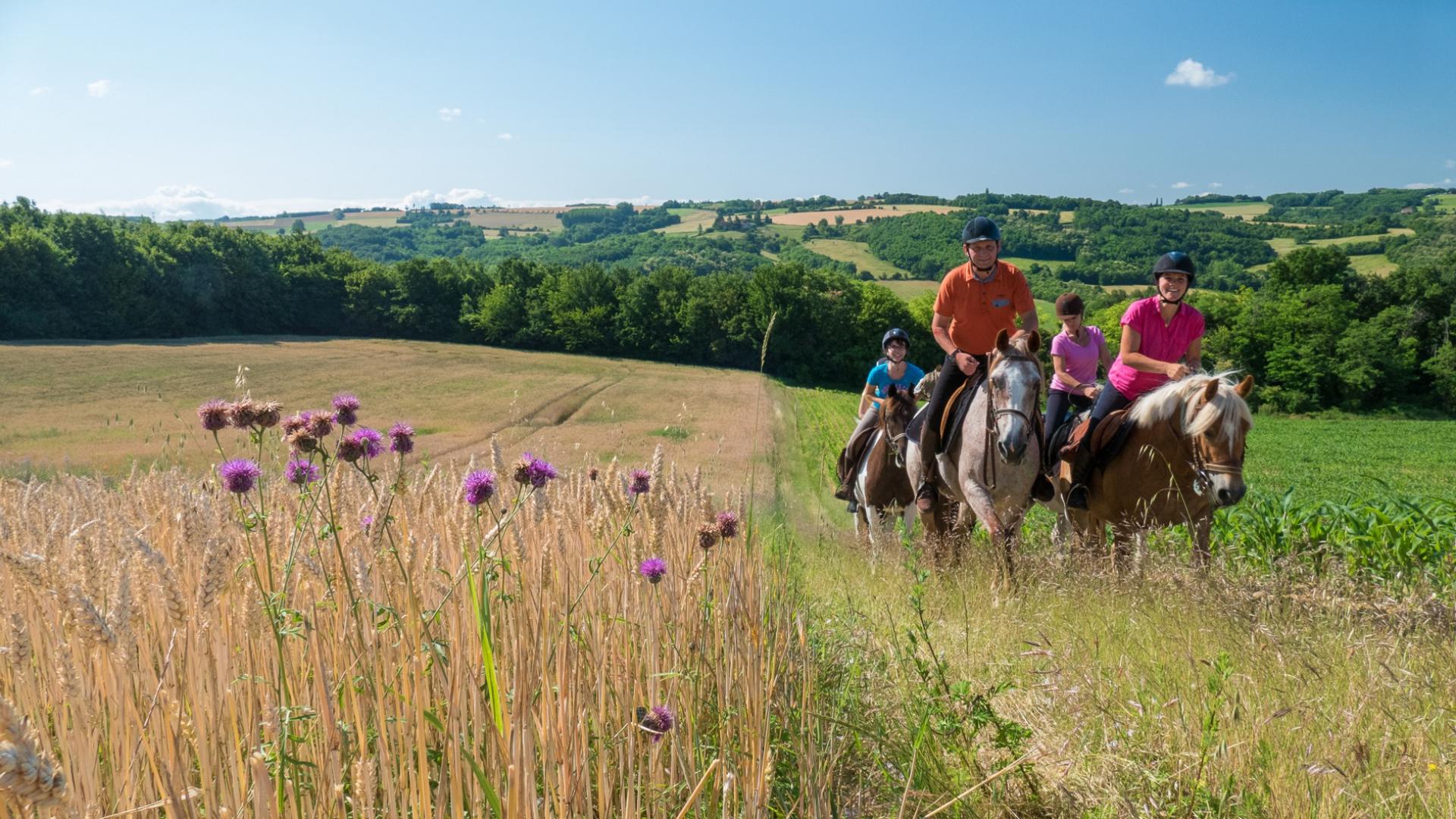 Postman Cheval Ideal Palace | Official website of the tourist office ...