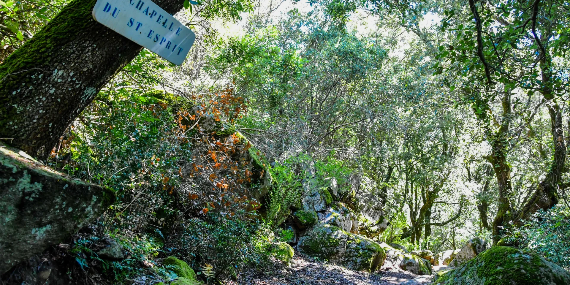 Balade jusqu’à la chapelle du Saint-Esprit – Olmeto | Office de Tourisme de Propriano, Sartène ...