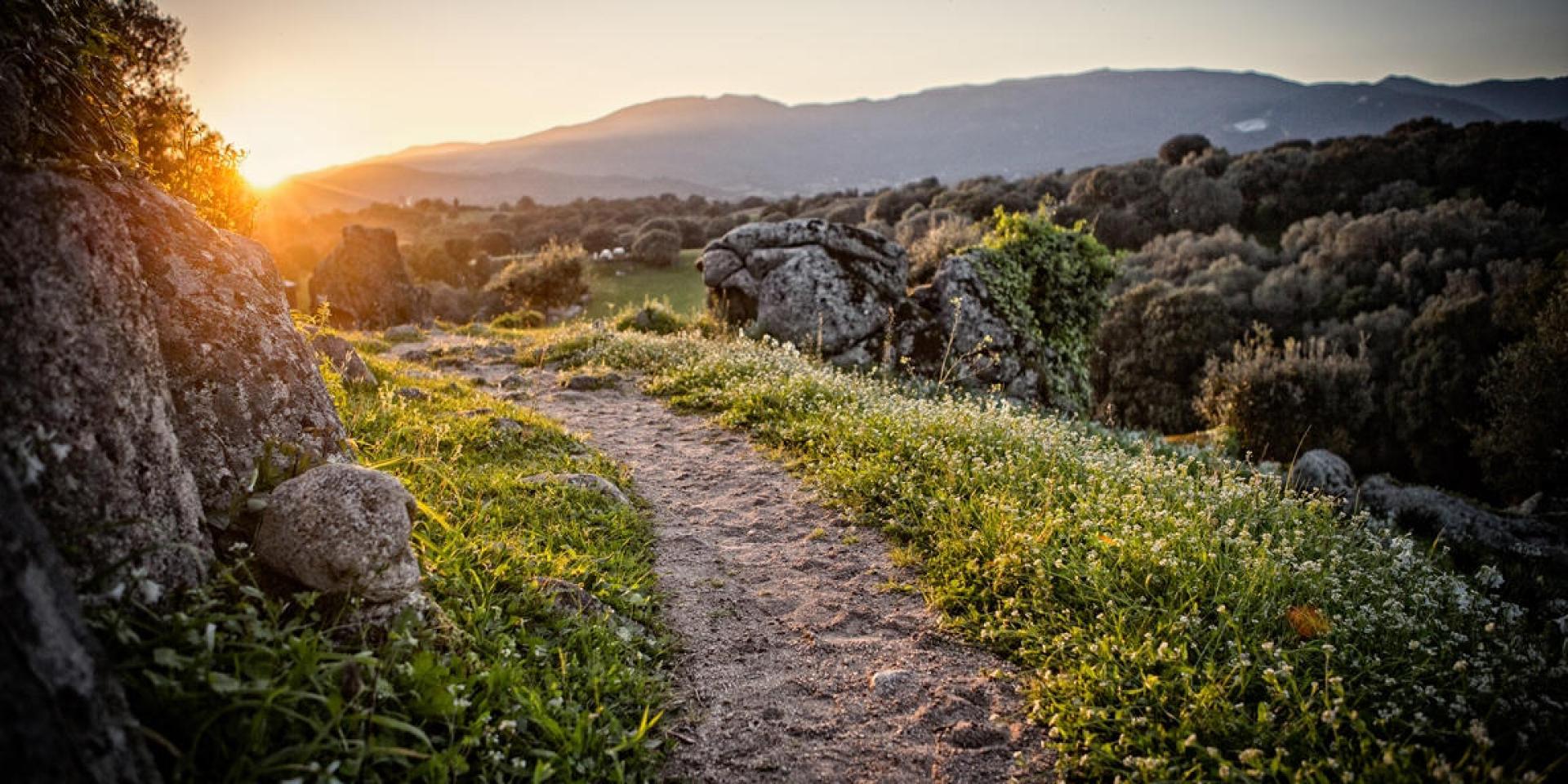 Stroll through the narrow streets of Sartène | Propriano and Sartène Tourist Office in the ...