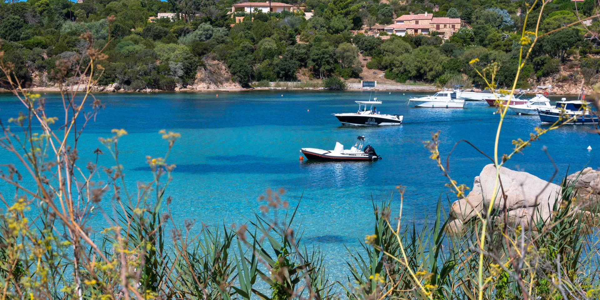 Se promener à Tizzano | Office de Tourisme de Propriano, Sartène dans le Sartenais Valinco Taravo