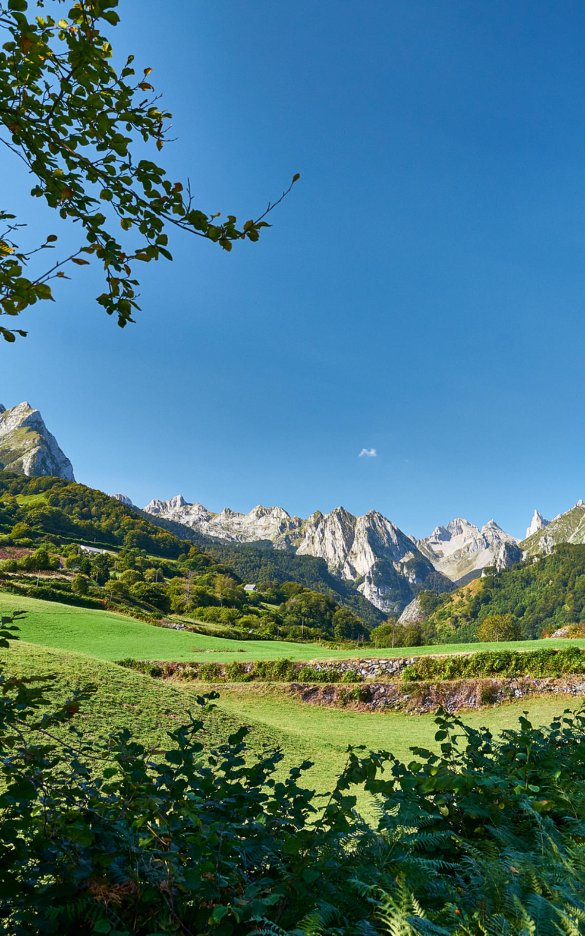 Fêtes et spectacles | Site officiel des Pyrénées Béarnaises