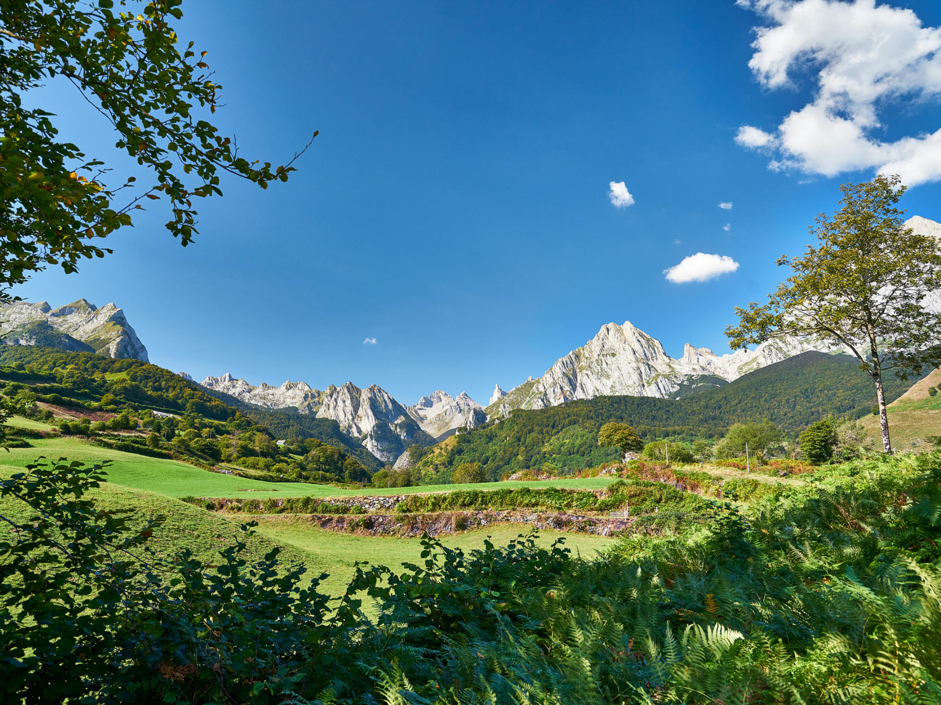 Toutes les expériences | Site officiel des Pyrénées Béarnaises