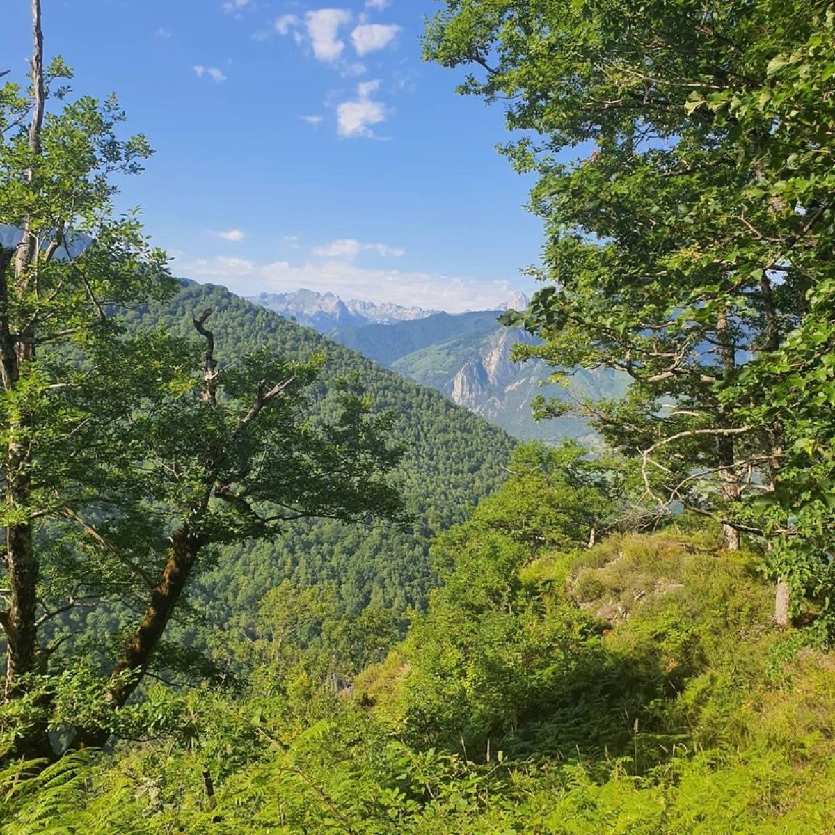 Lexique béarnais | Site officiel des Pyrénées Béarnaises