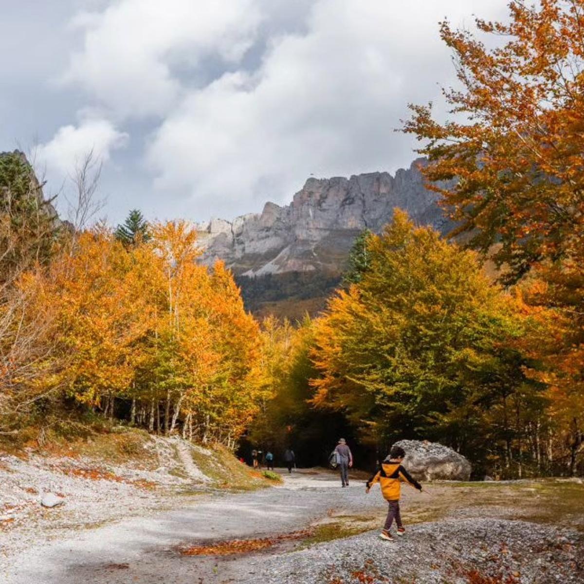 Office de tourisme Haut-Béarn : Visites, vacances et séjours dans les ...