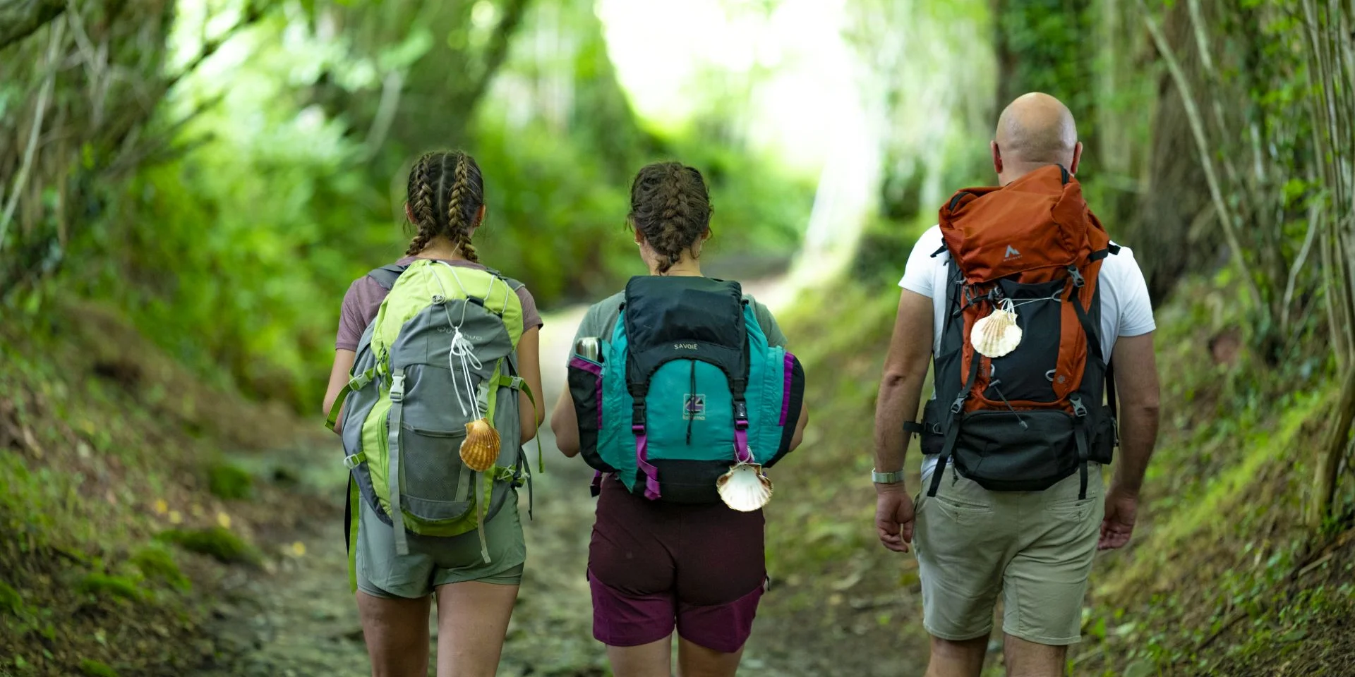 Sur les pas de Saint-Jacques | Site officiel des Pyrénées Béarnaises