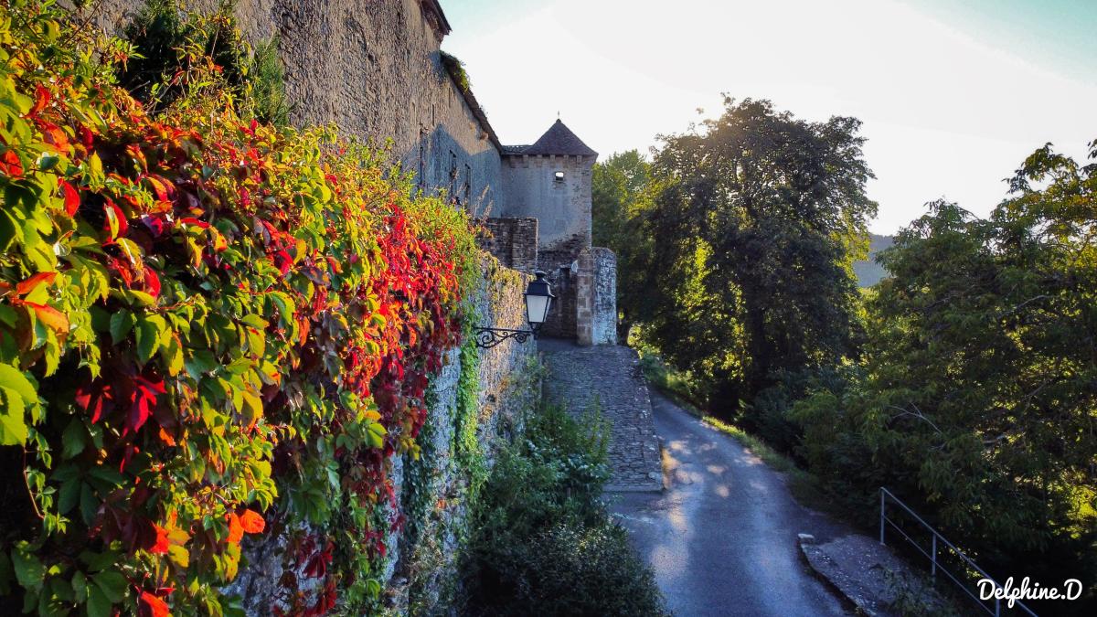 Camon L’un des plus beaux villages de France | Site Officiel de l ...