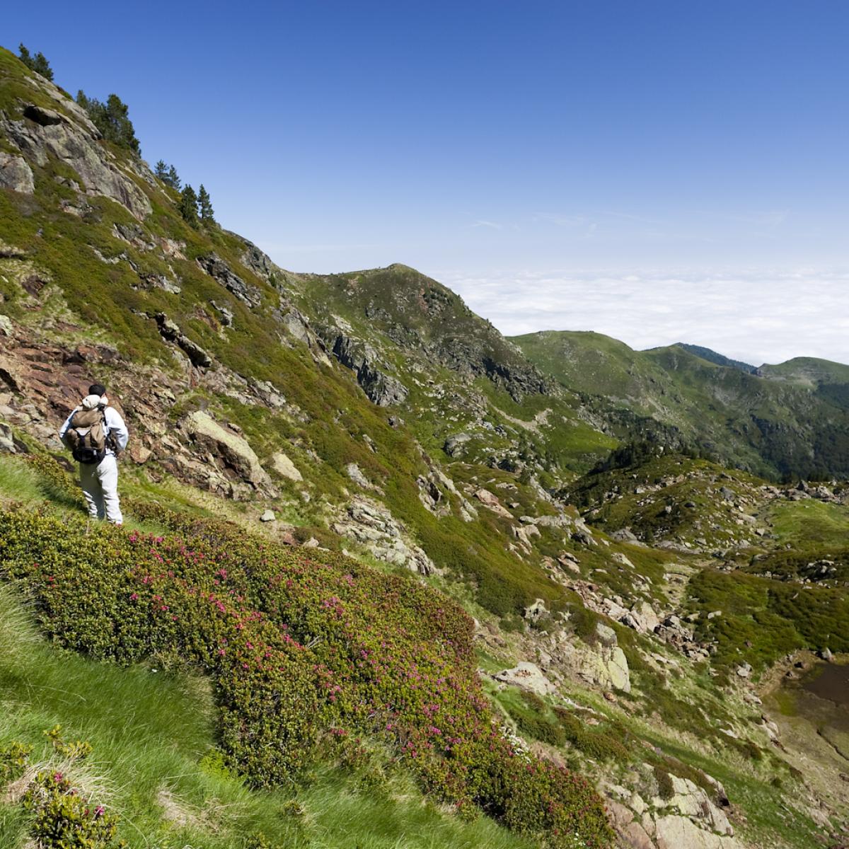 Top walks and hikes | Official website of the Office de Tourisme des ...