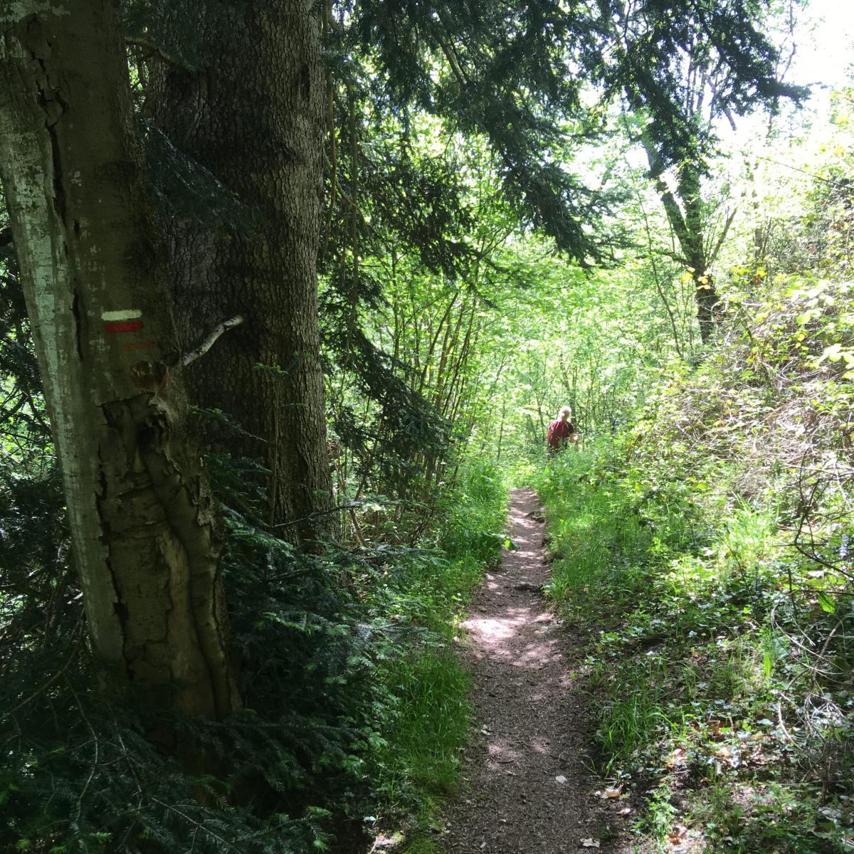 Le top des balades et randonnees | Site Officiel de l'Office de ...