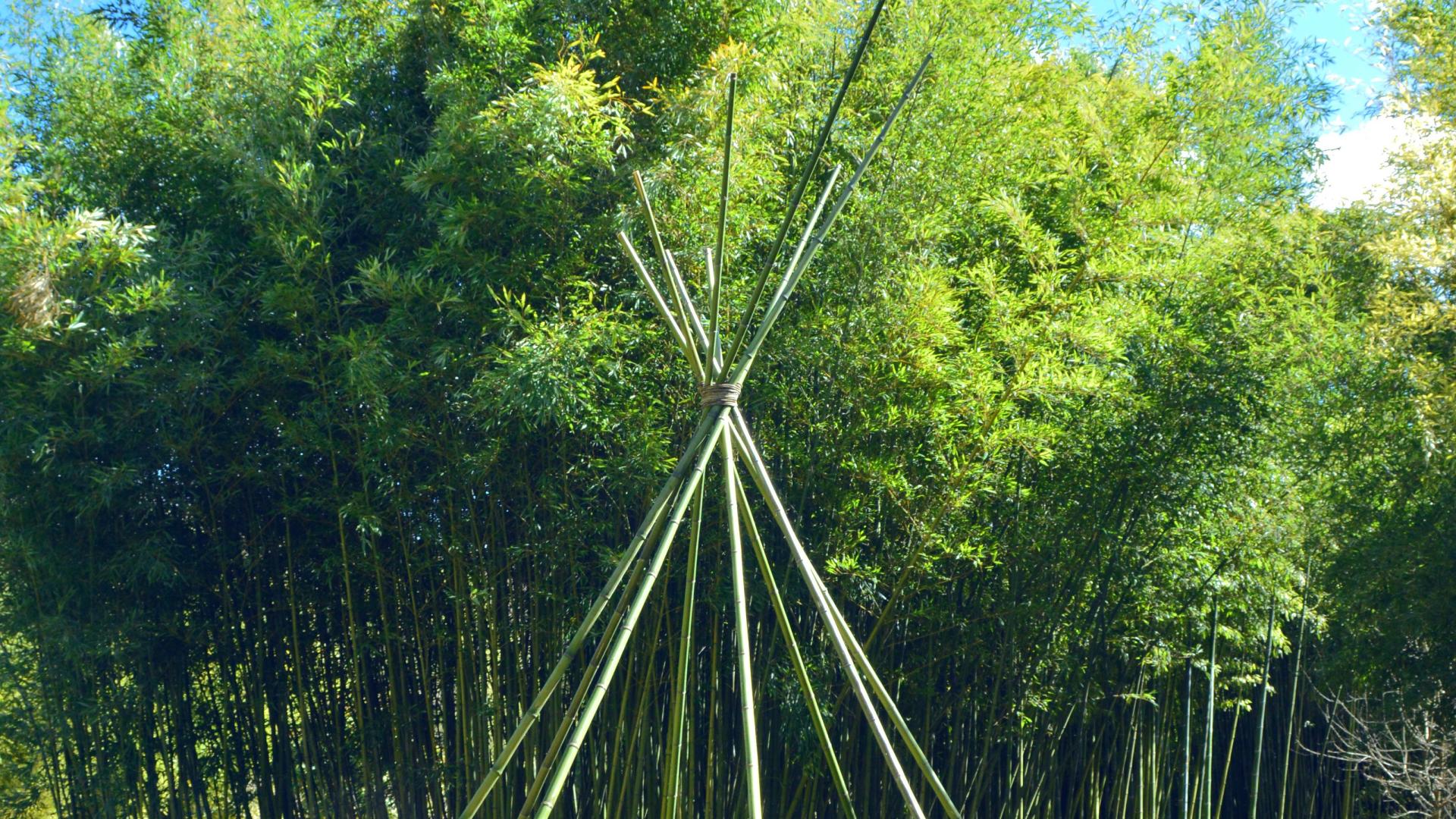 Château de Montségur (Montségur) | Site Officiel de l'Office de ...
