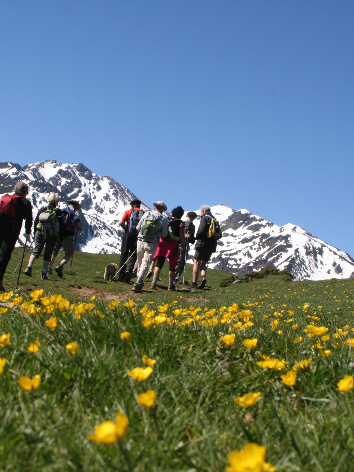 Pyrénées Cathares : Explorez l’Ariège entre Nature, Histoire et ...
