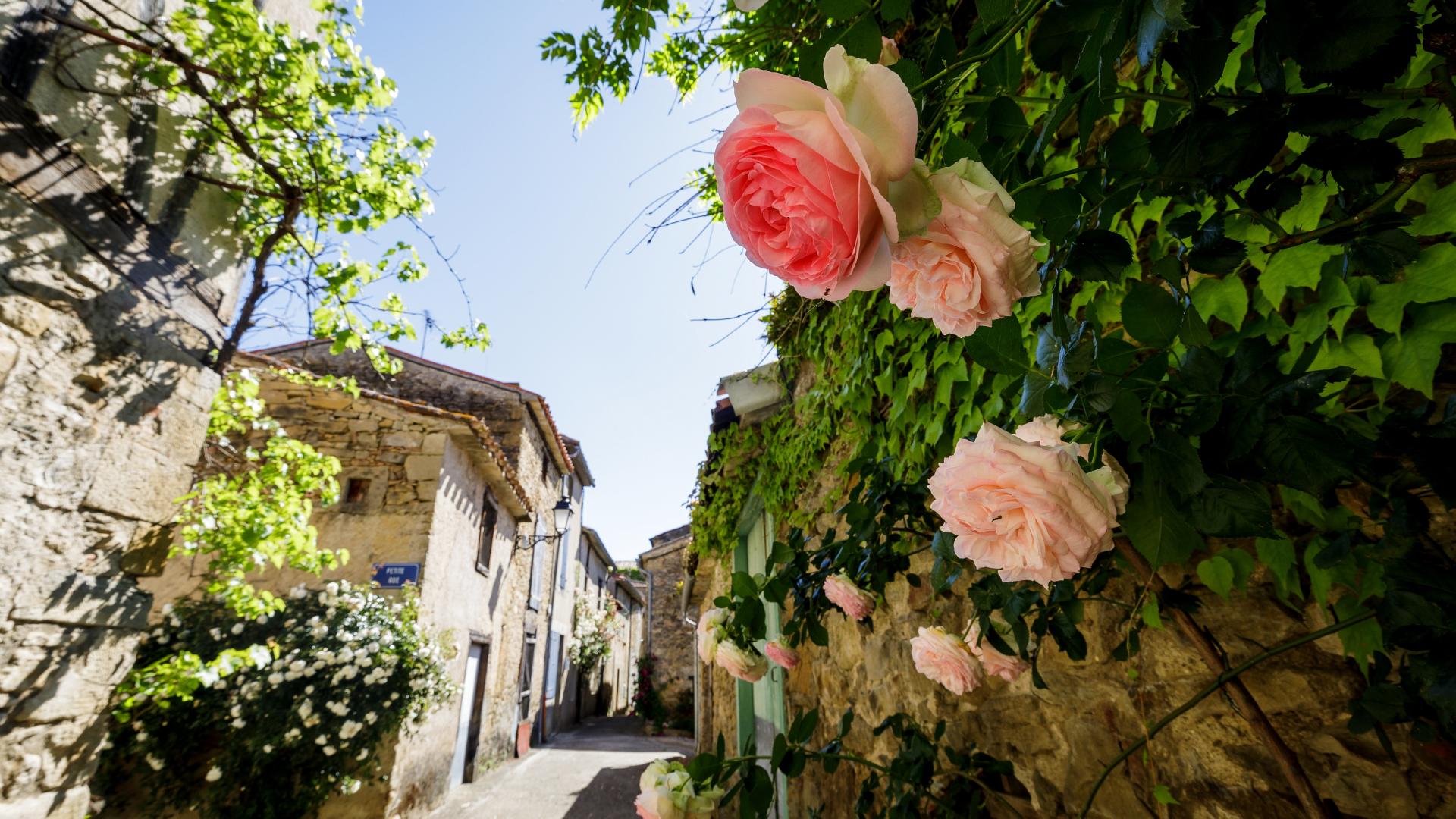 Camon One of the most beautiful villages in France | Official website ...