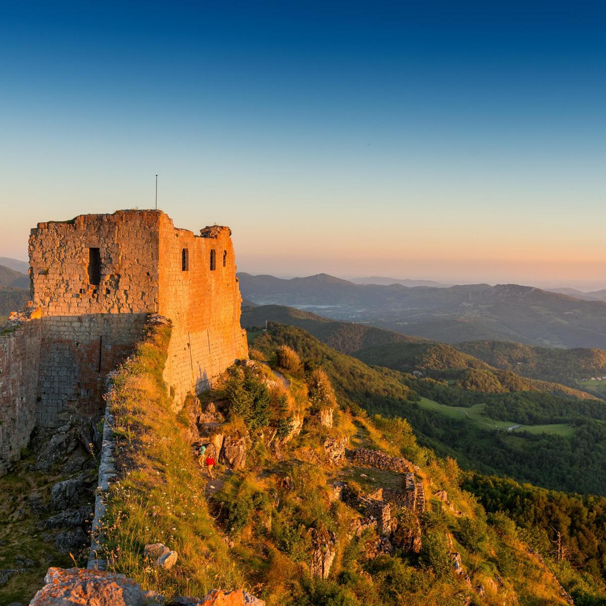 Official website of the Office de Tourisme des Pyrénées Cathares