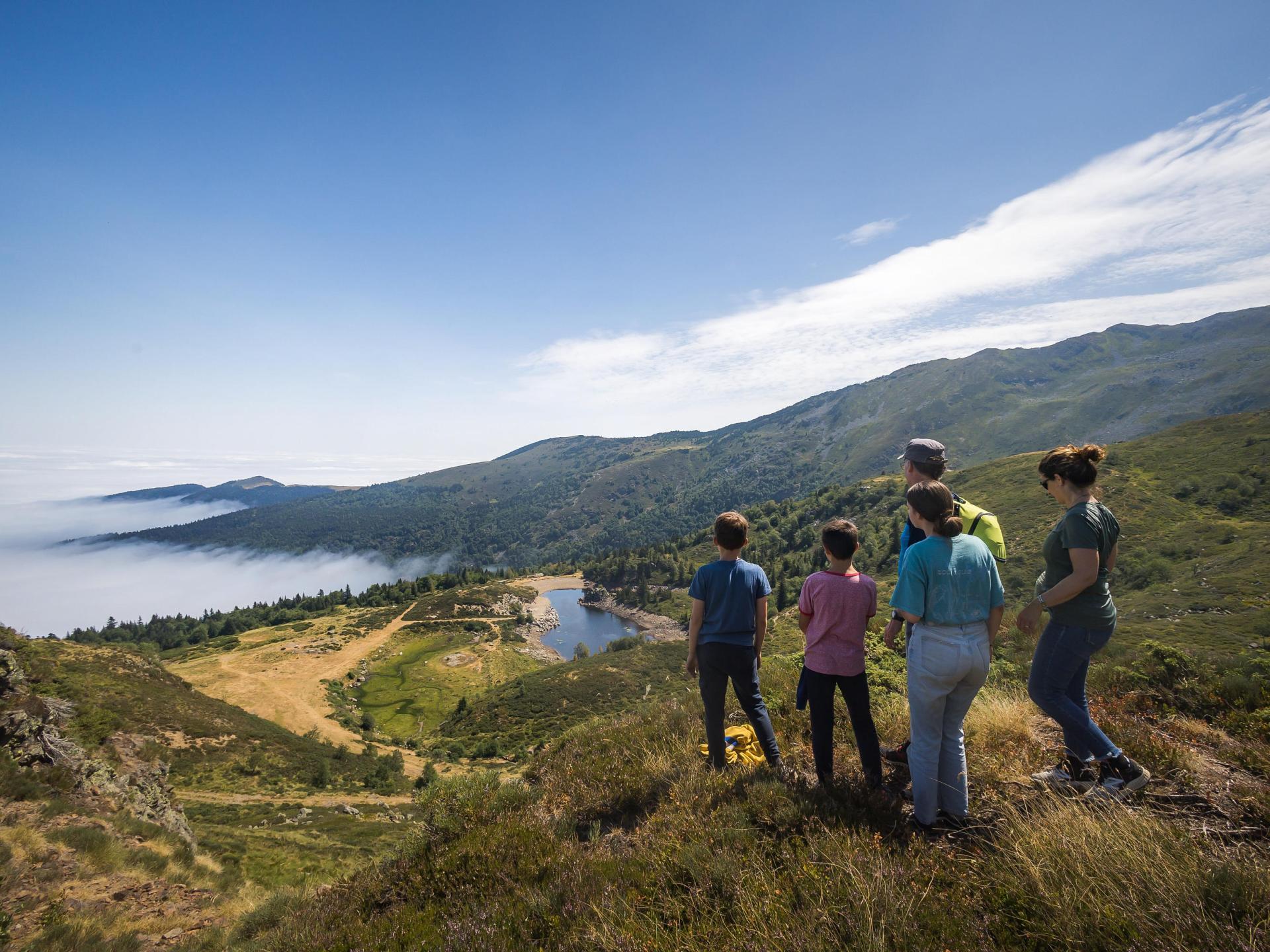 Le cheval de Mérens dans les Pyrénées Cathares | Site Officiel de l ...