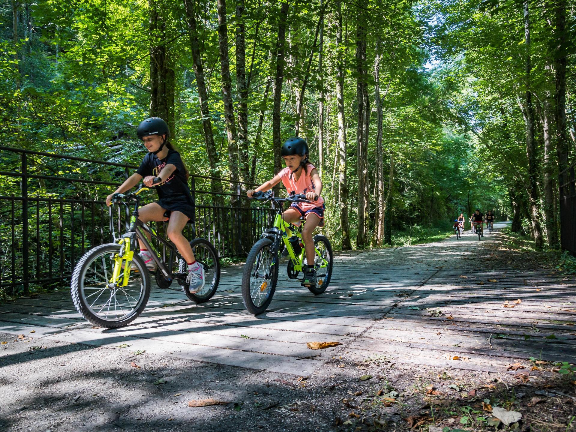 Le cheval de Mérens dans les Pyrénées Cathares | Site Officiel de l ...