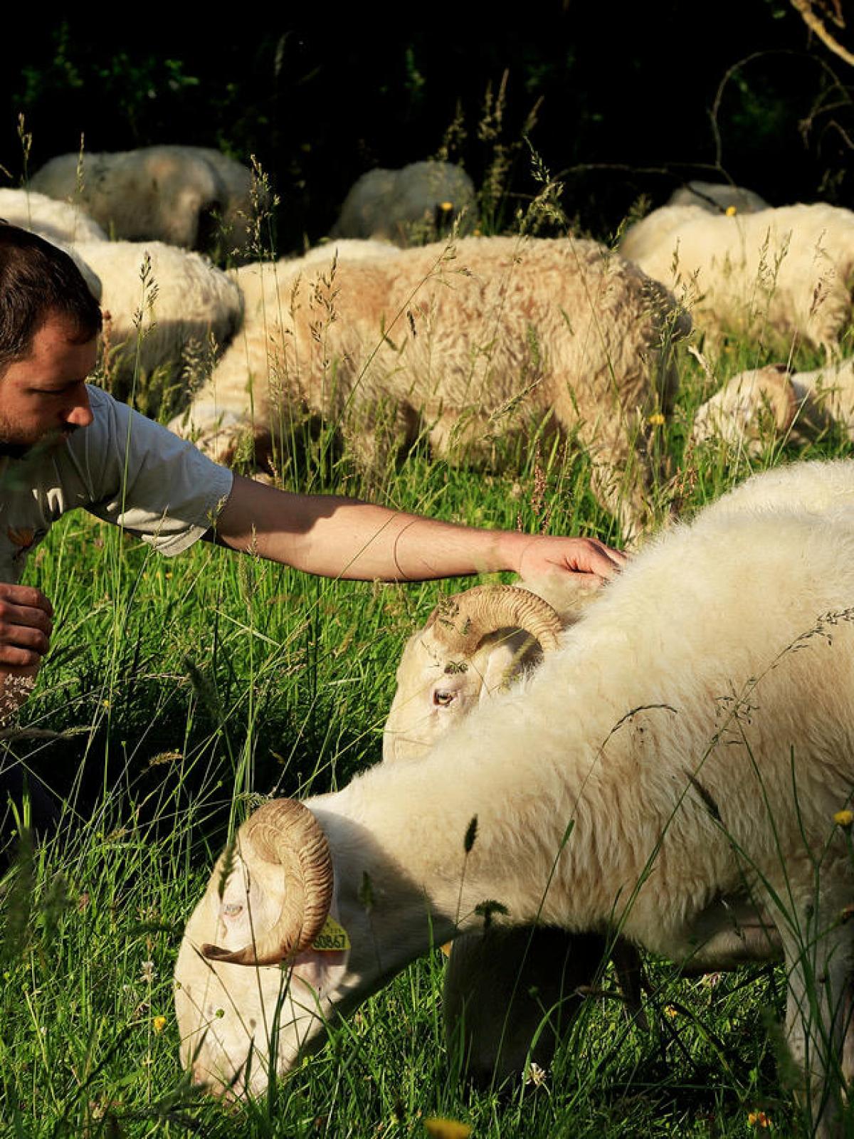 Cascades de Roquefort | Site Officiel de l'Office de Tourisme des ...
