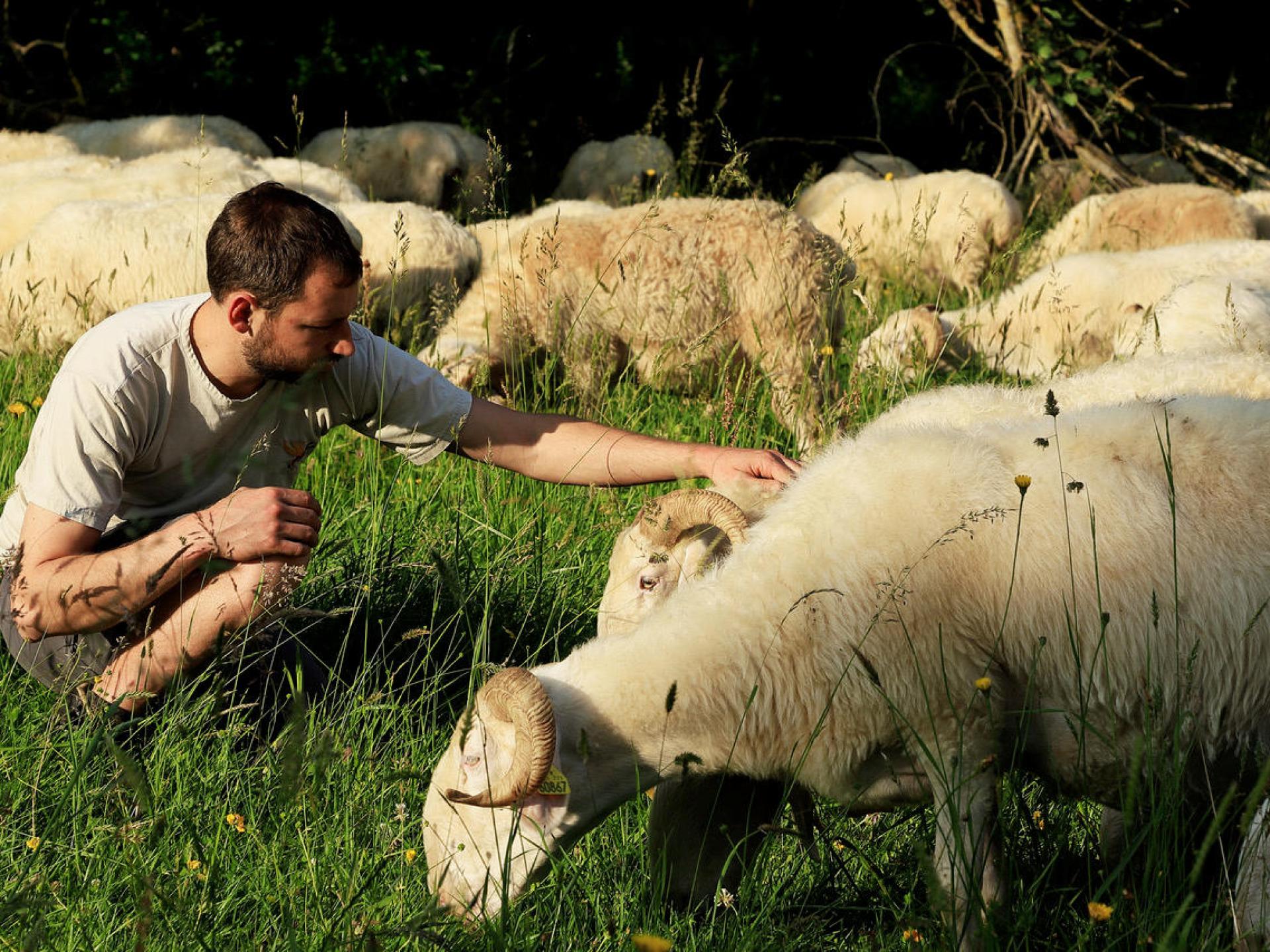 Top 10 des specialites en Pyrenees Cathares | Site Officiel de l'Office ...