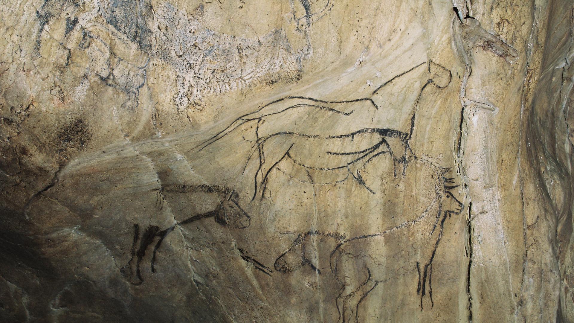 The Merens horse in the Cathar Pyrenees | Official website of the ...