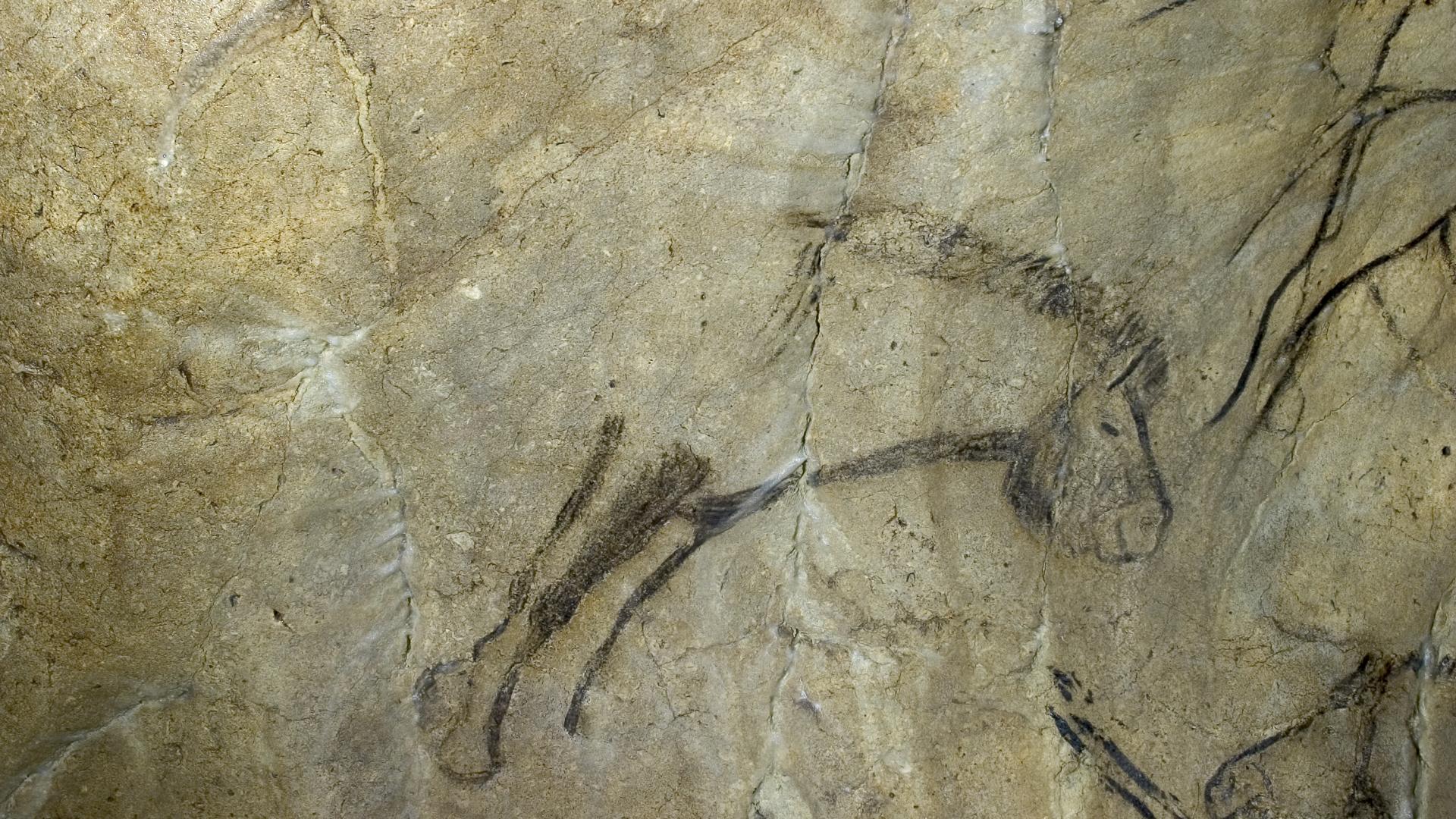 The Merens horse in the Cathar Pyrenees | Official website of the ...