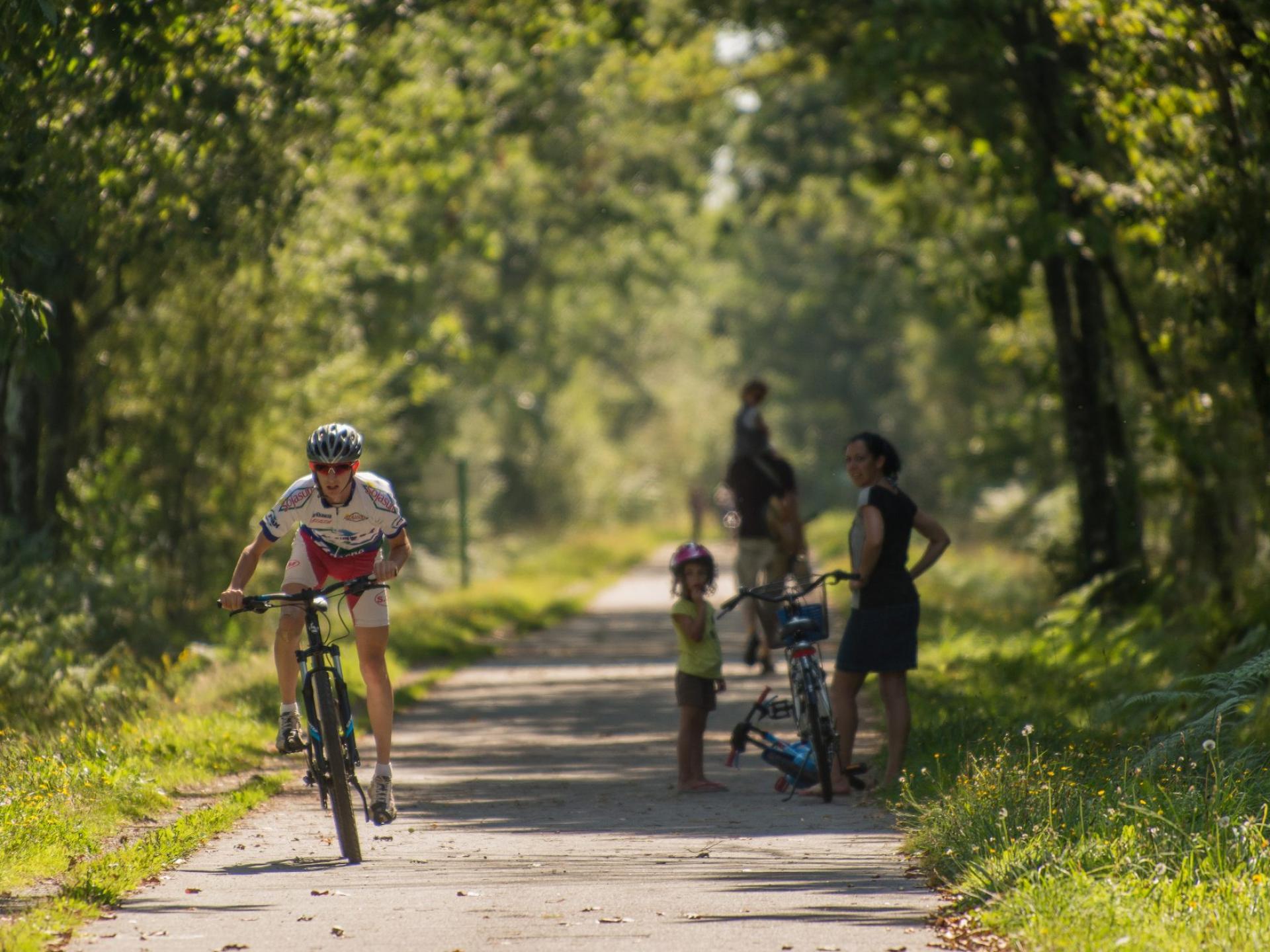 La Voie Verte en famille | Rochefort-en-Terre Tourisme | Bretagne