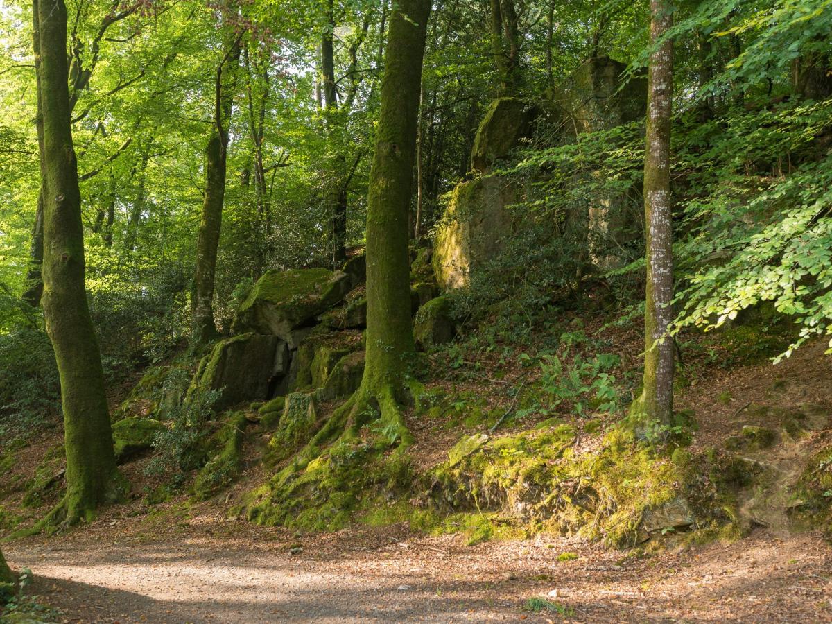Le site du Moulin Neuf | Rochefort-en-Terre Tourisme | Bretagne
